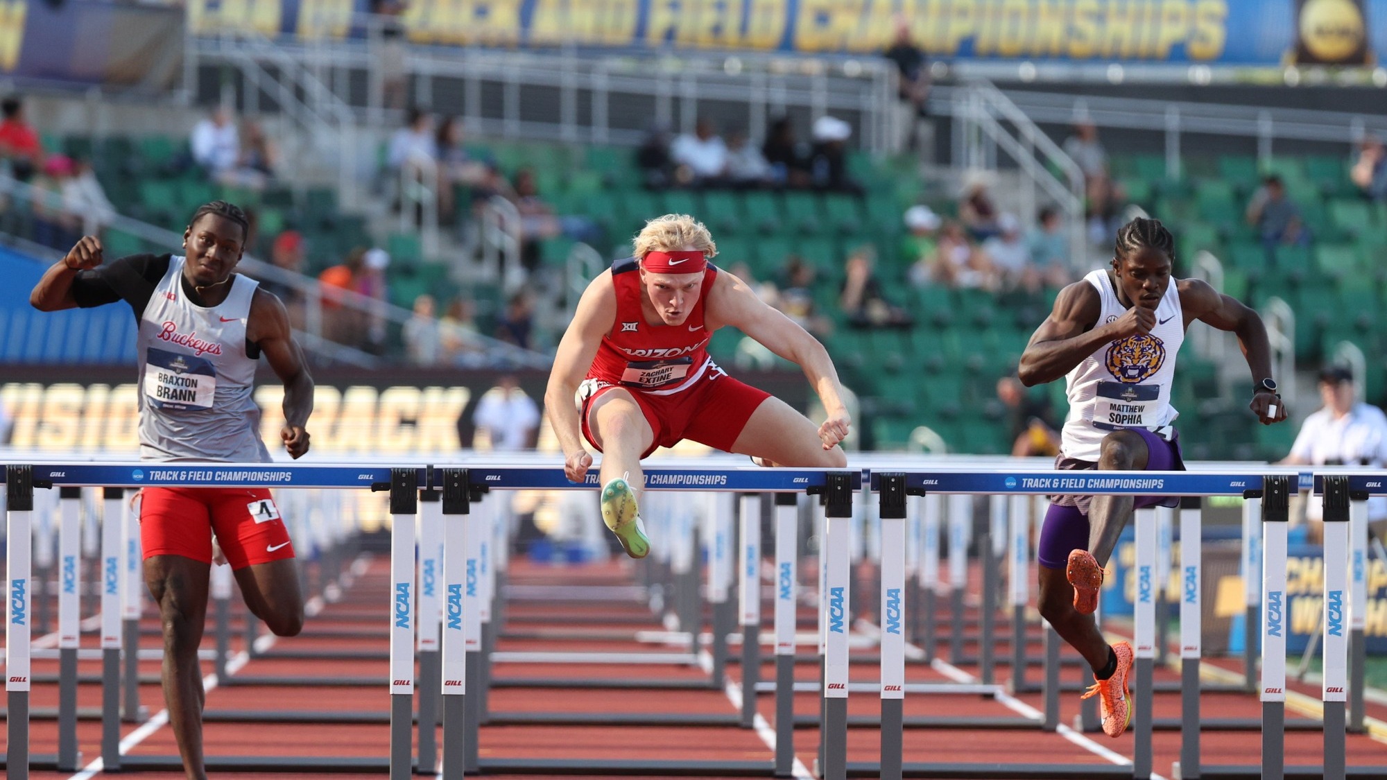 Arizona Names Andrew Dubs Track and Field/Cross Country Head Coach ...
