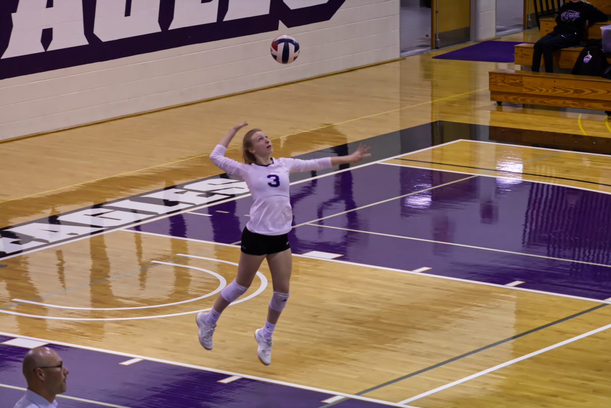 Maddie Lewis - 2019 - Volleyball - Asbury University