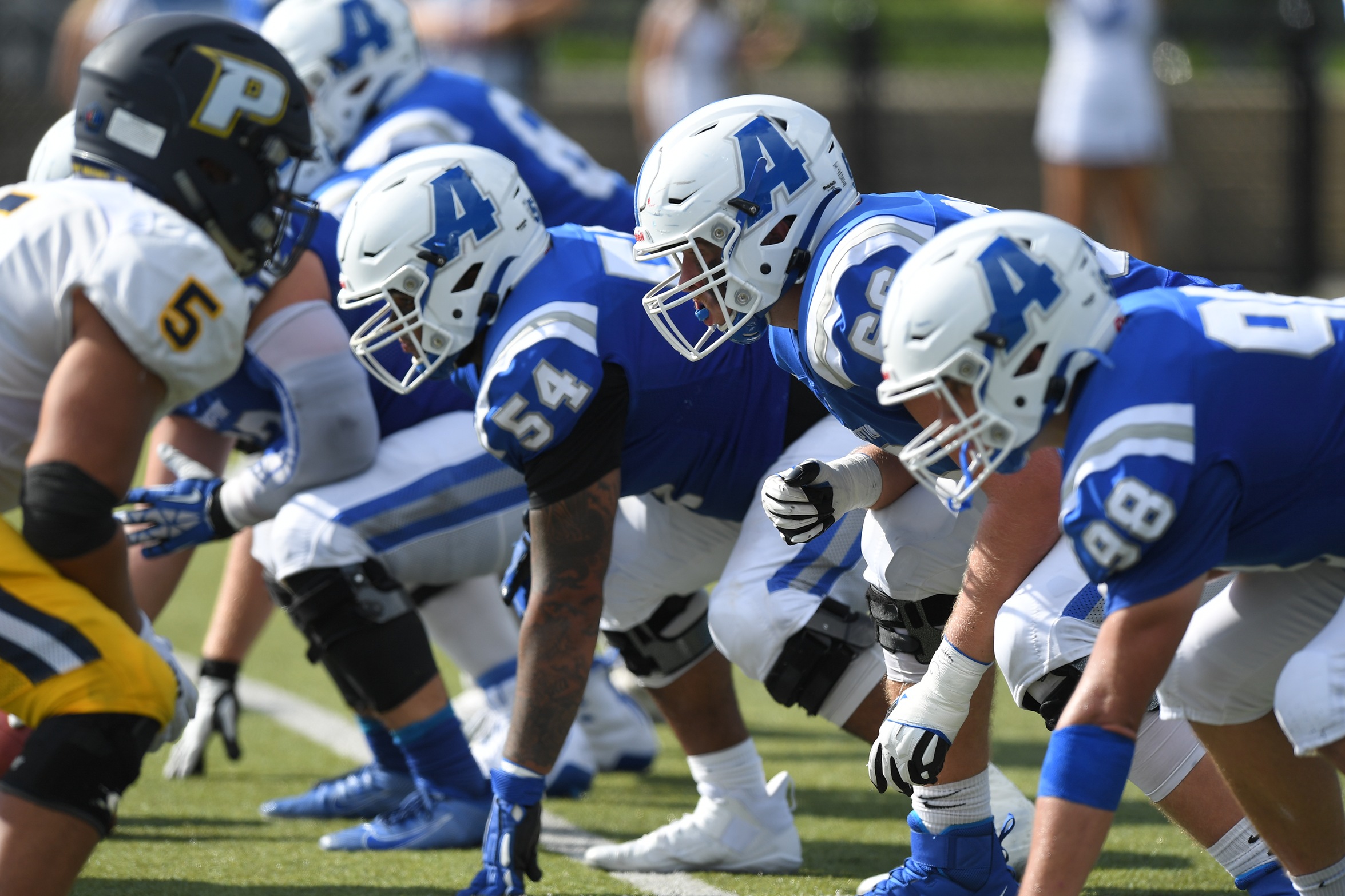 Football Falls To Bentley In Season Finale - Assumption University