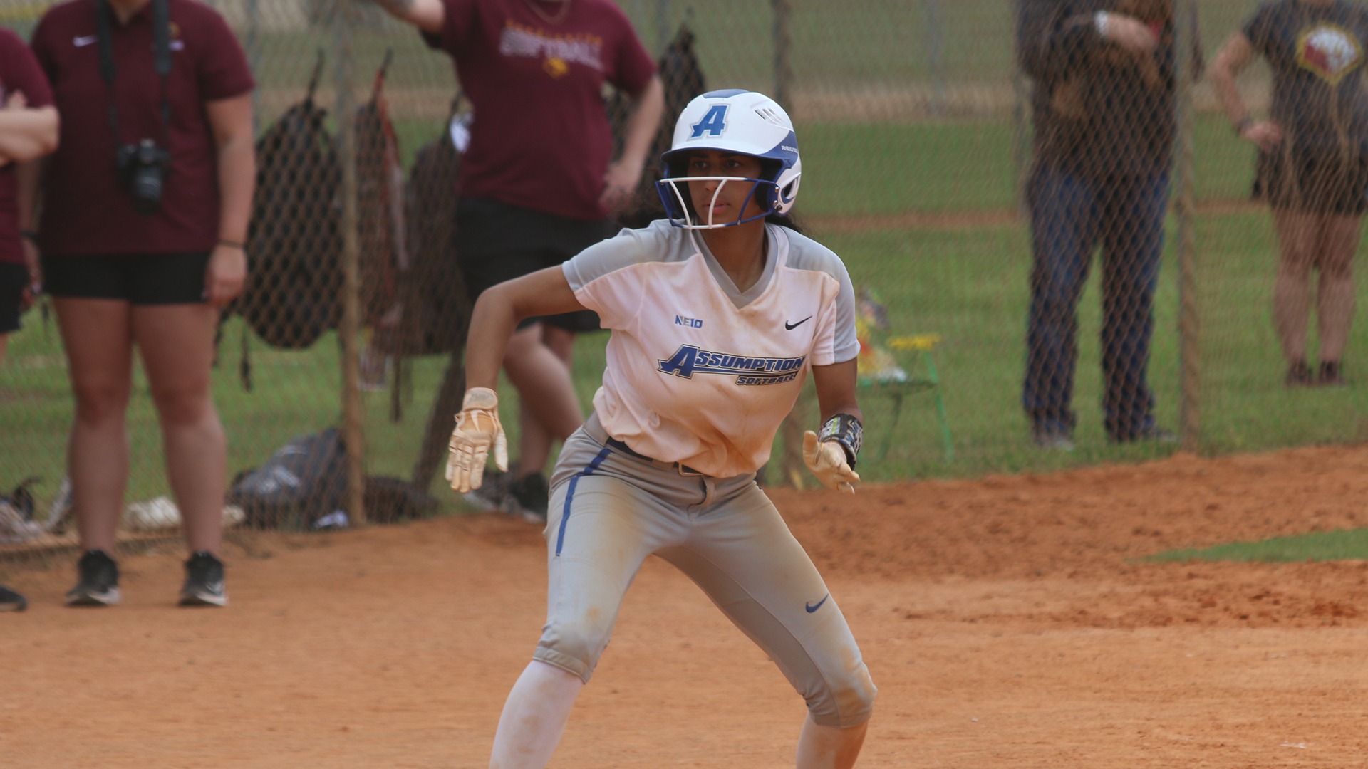 Softball Dropped Pair against Findlay - Assumption University