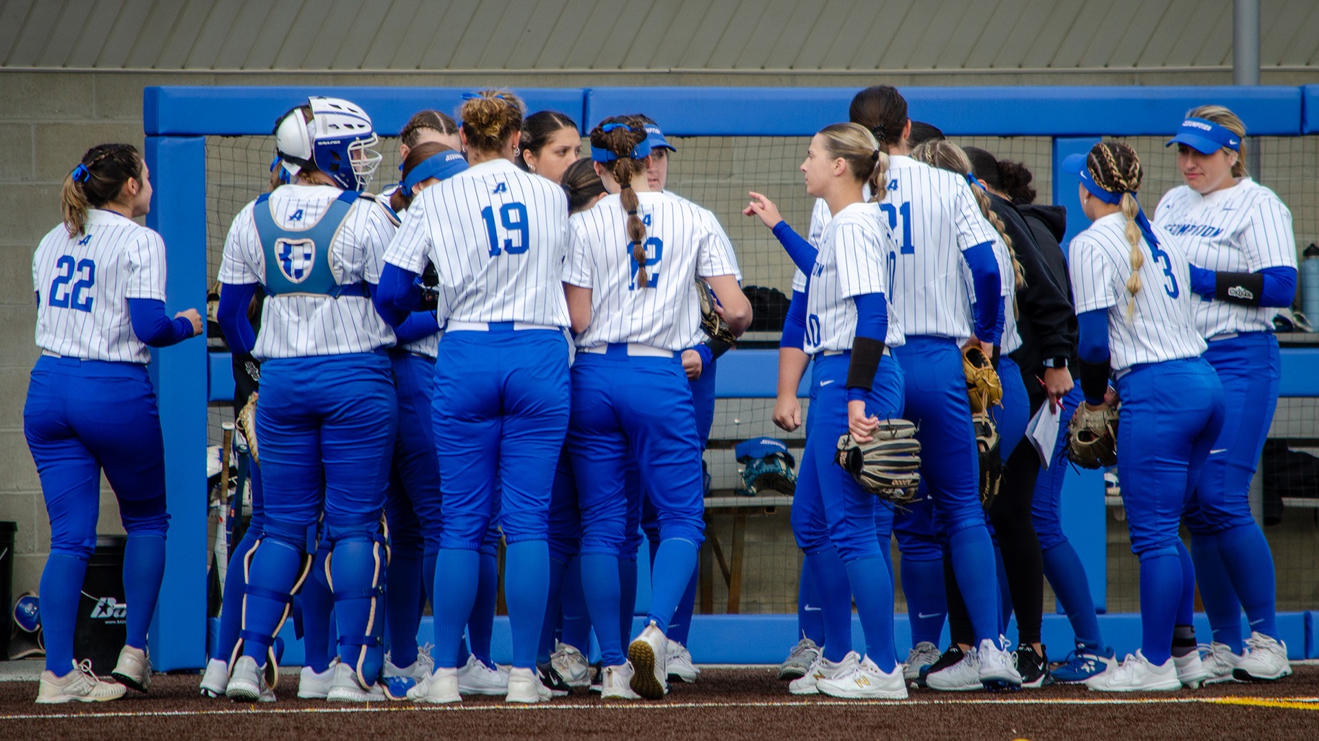 Softball Dropped Pair against New Haven - Assumption University