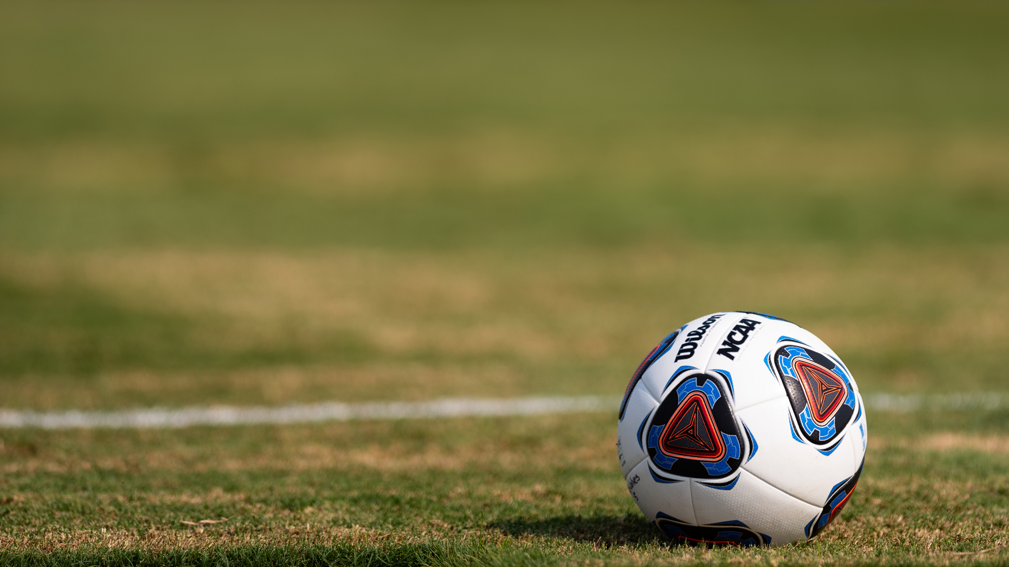 Red Wolves Soccer Lands Six on CSC Academic All-District Team ...