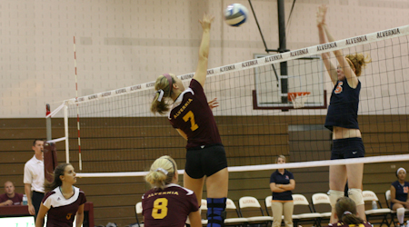 Liz Newman - Women's Volleyball - Alvernia University Athletics