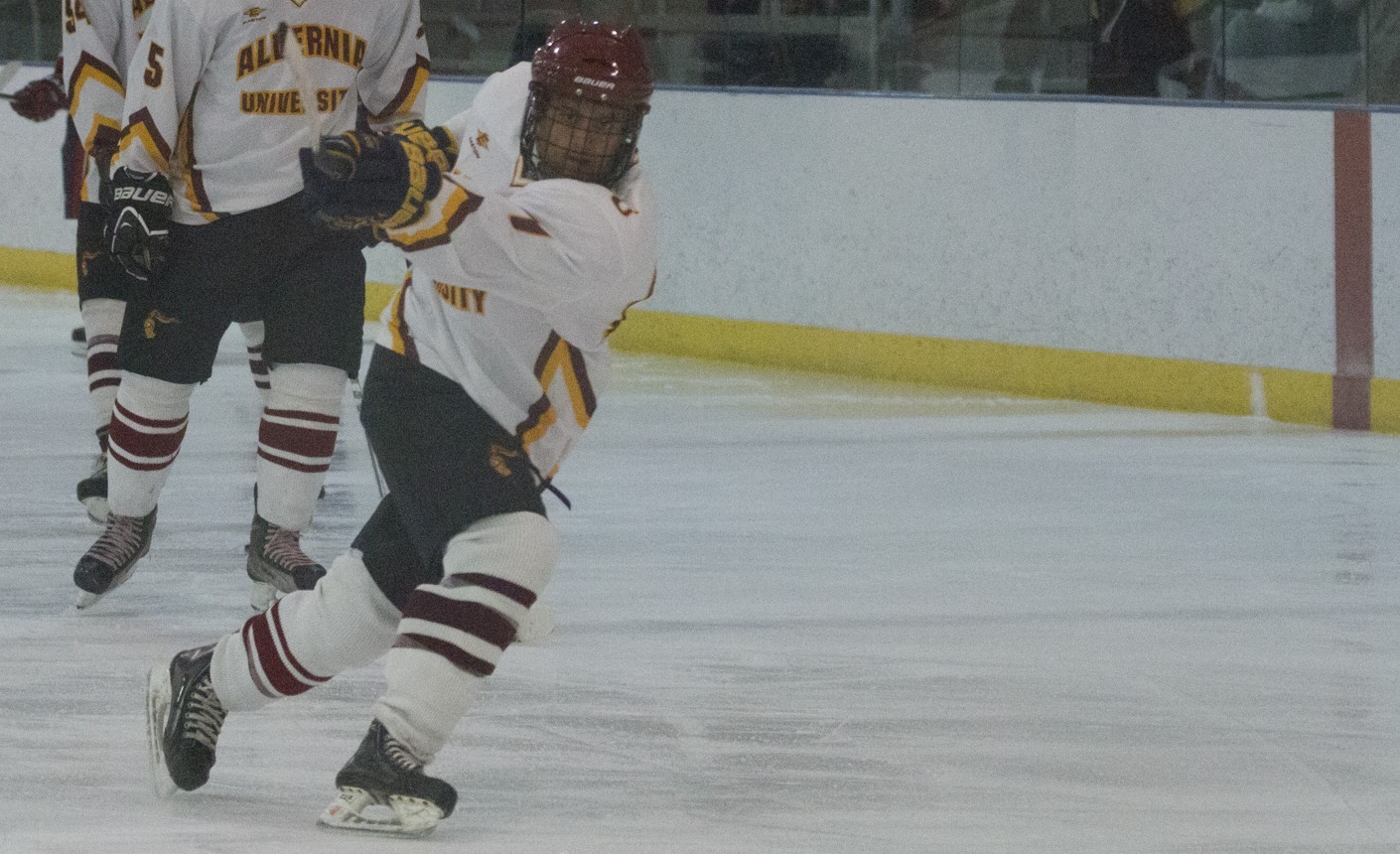 Brett Fernandez - Men's Ice Hockey (Club) - Alvernia University Athletics