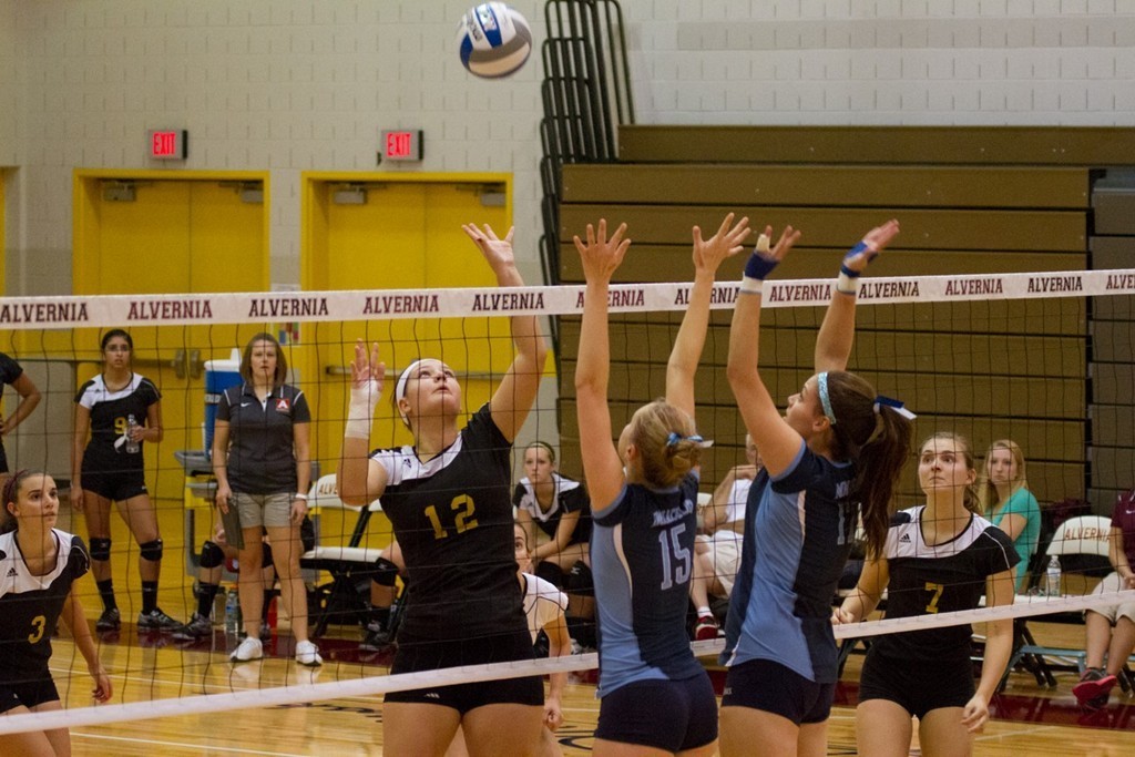 Sarah Poplawski - Women's Volleyball - Alvernia University Athletics