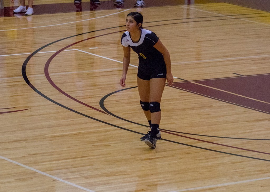 Teresa Zavala - Women's Volleyball - Alvernia University Athletics