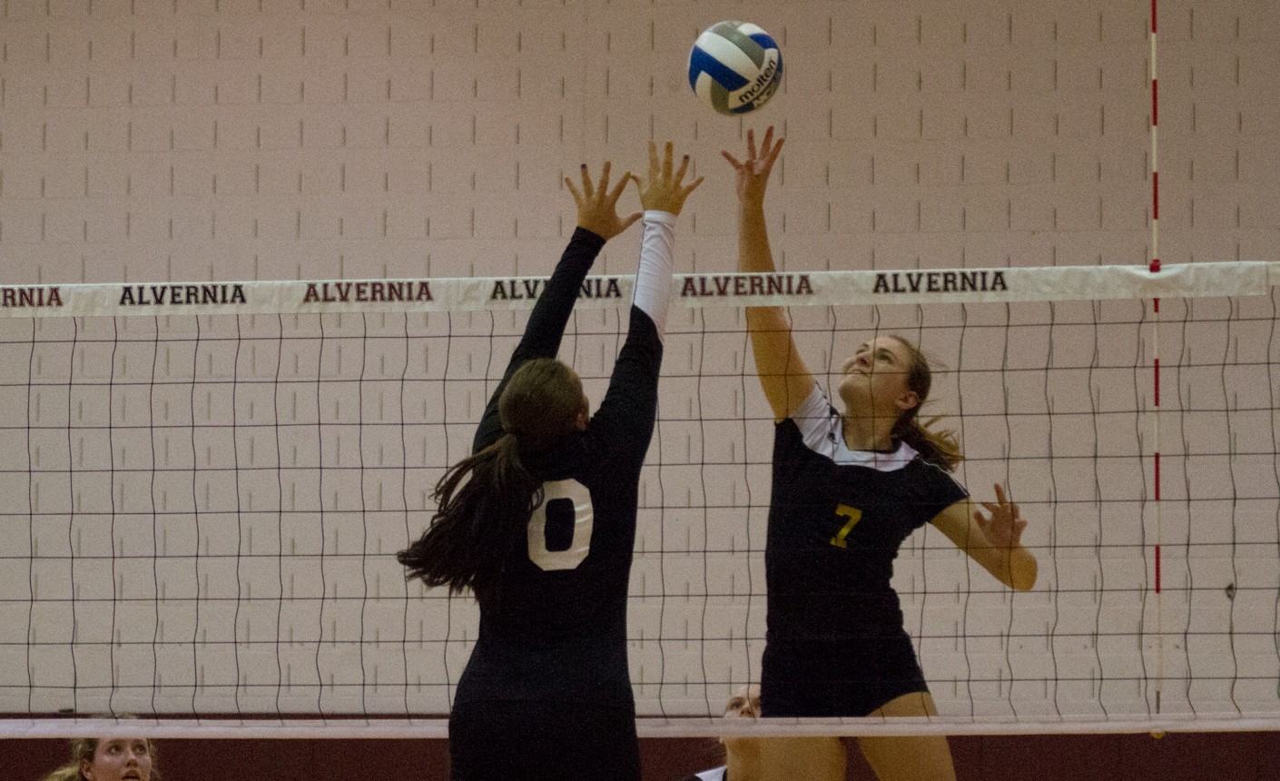 Liz Newman - Women's Volleyball - Alvernia University Athletics