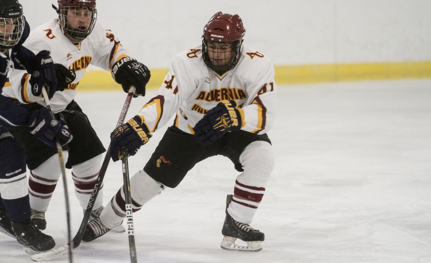 Brett Fernandez - Men's Ice Hockey (Club) - Alvernia University Athletics