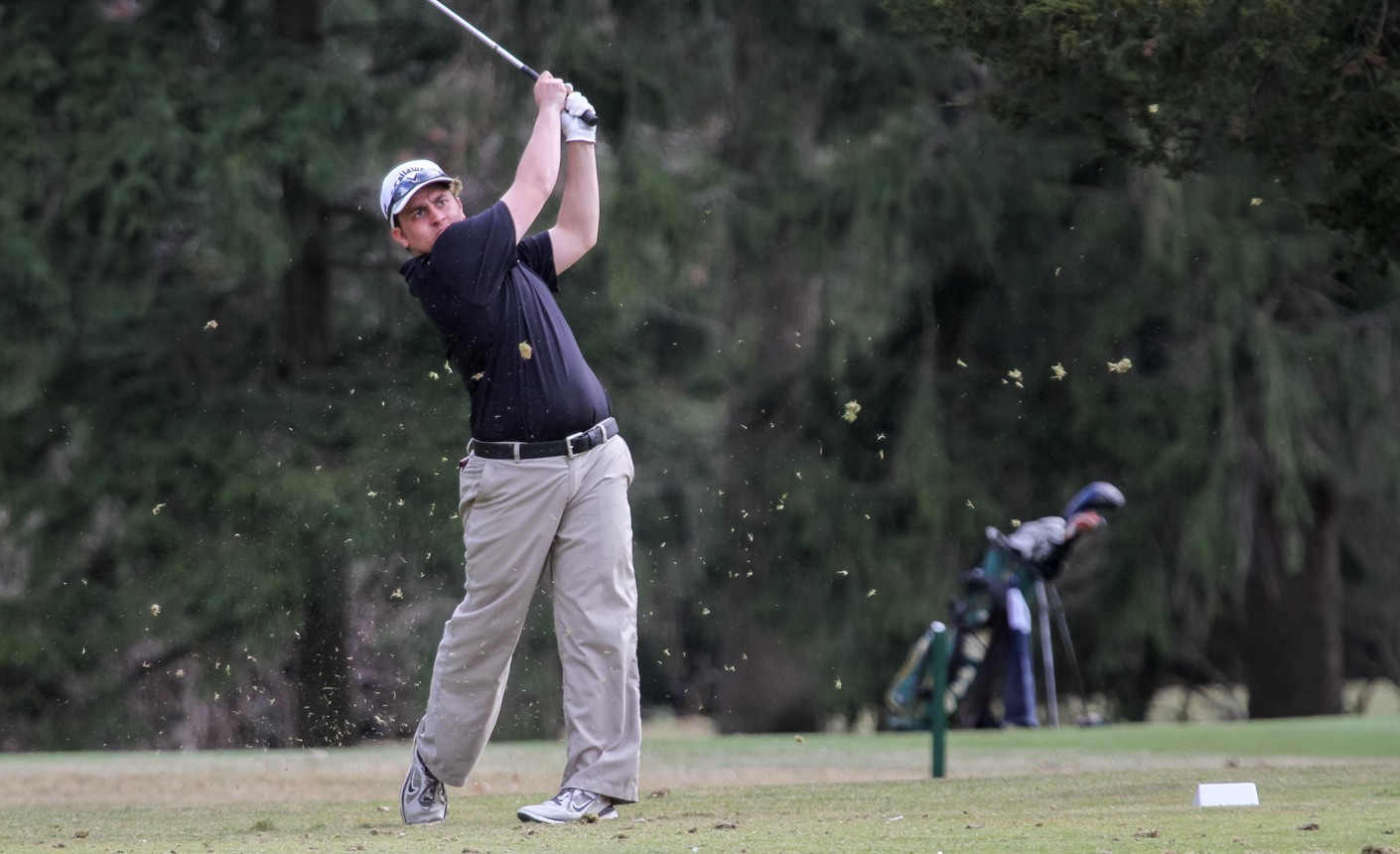 Brett Fernandes - Men's Golf - Alvernia University Athletics