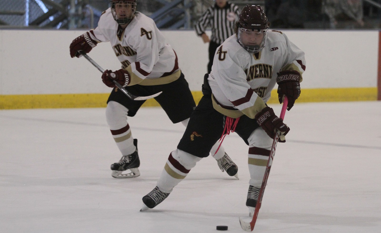 Nicholas Petrie - Men's Ice Hockey (Club) - Alvernia University Athletics