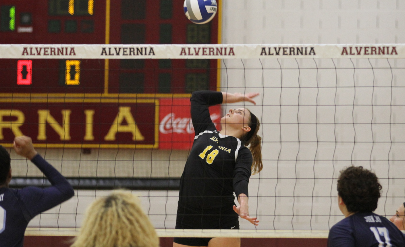 Kristen Sipling - Women's Volleyball - Alvernia University Athletics