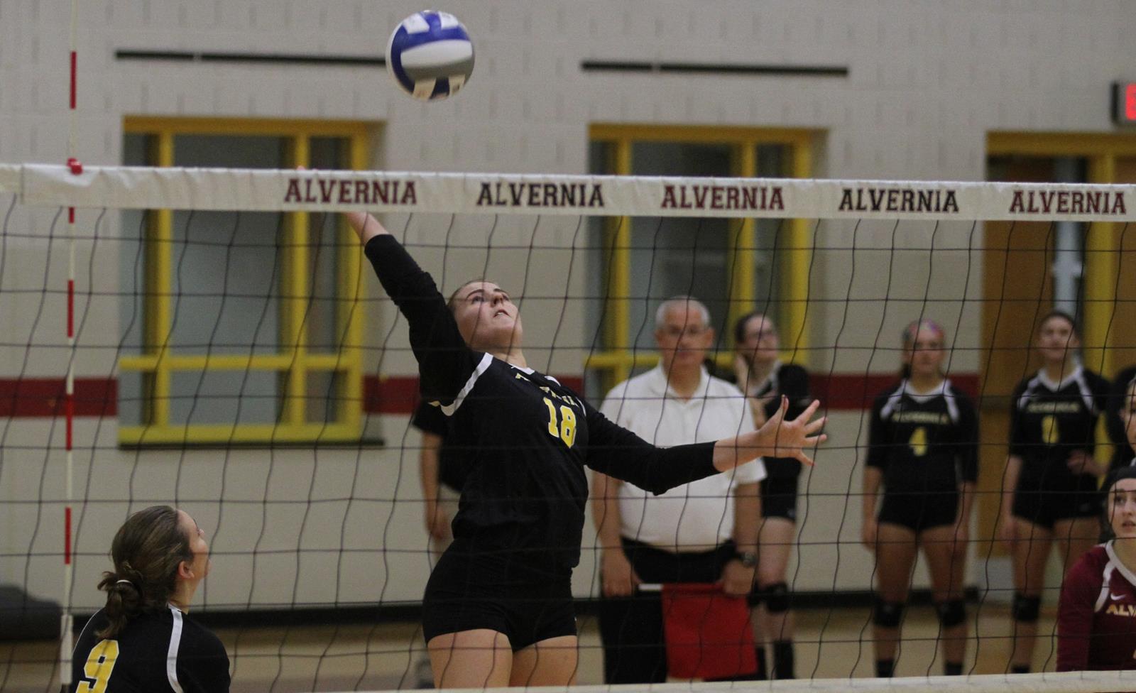 Kristen Sipling - Women's Volleyball - Alvernia University Athletics