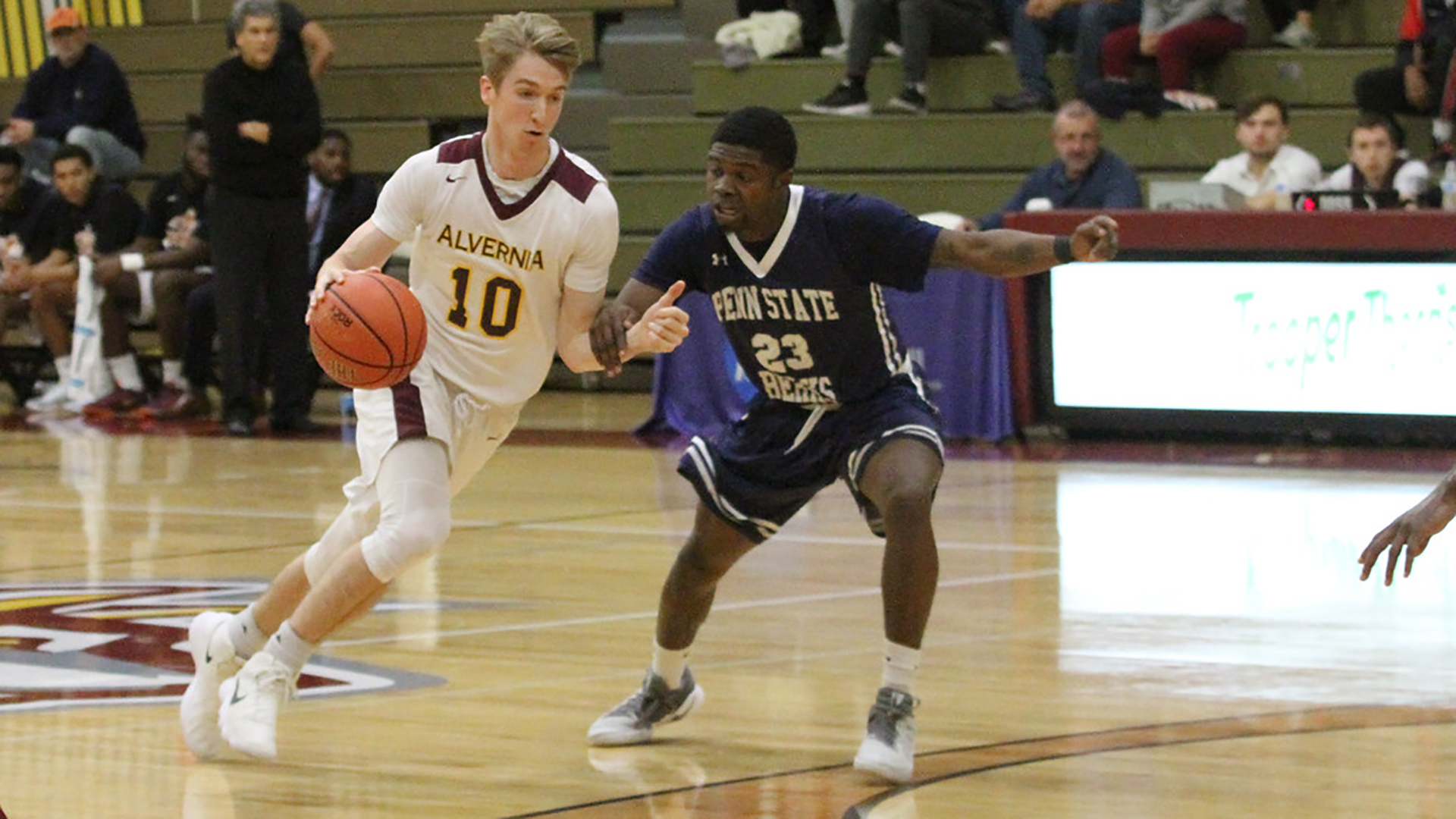 Nick Youngkin - Men's Basketball - Alvernia University Athletics