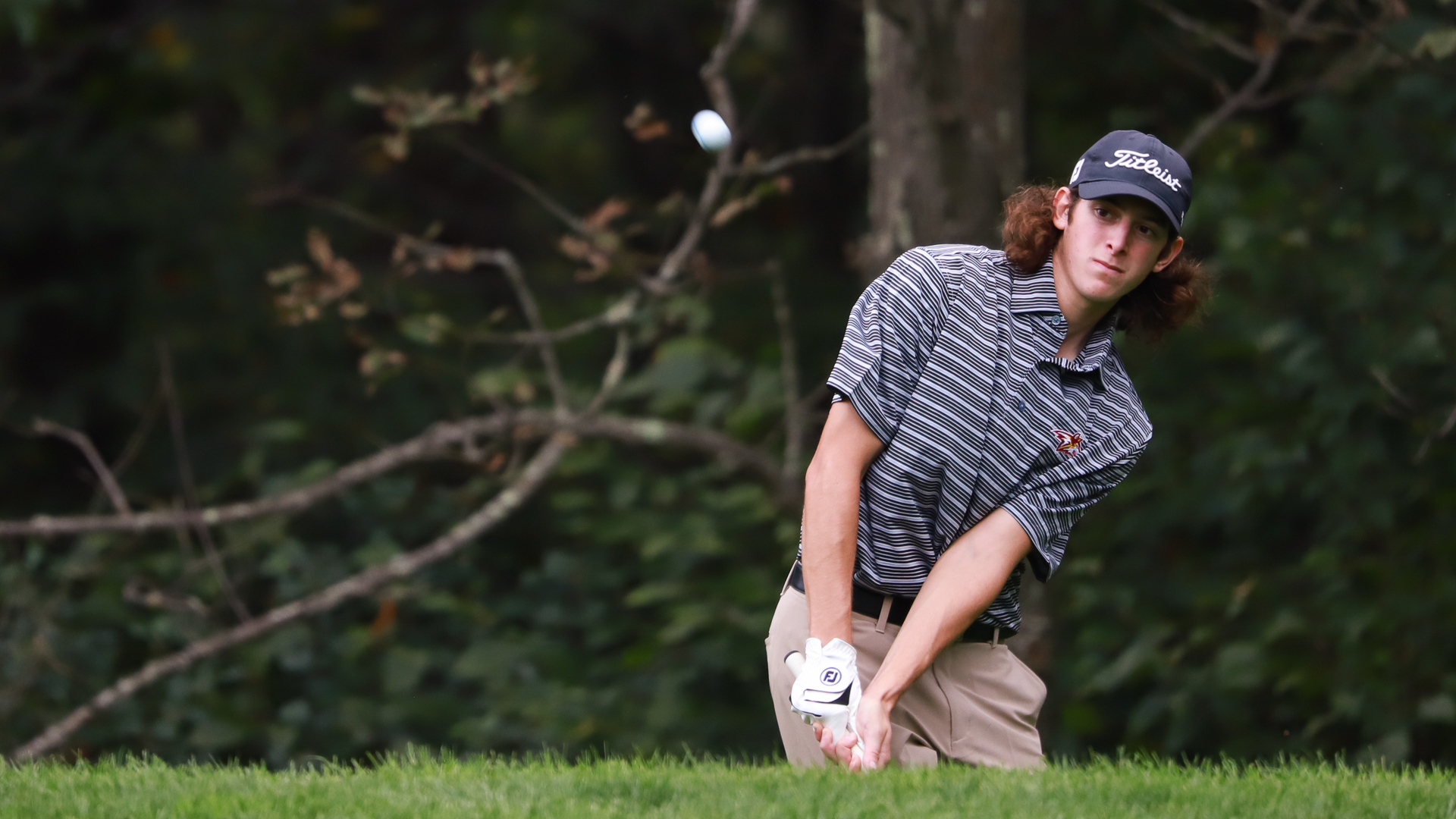Joe Polidoro - Men's Golf - Alvernia University Athletics