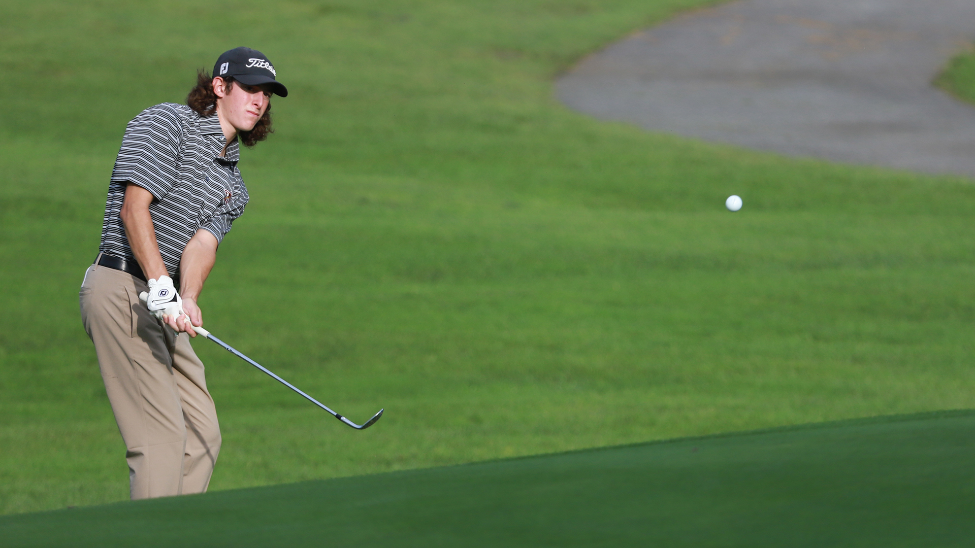 Joe Polidoro - Men's Golf - Alvernia University Athletics