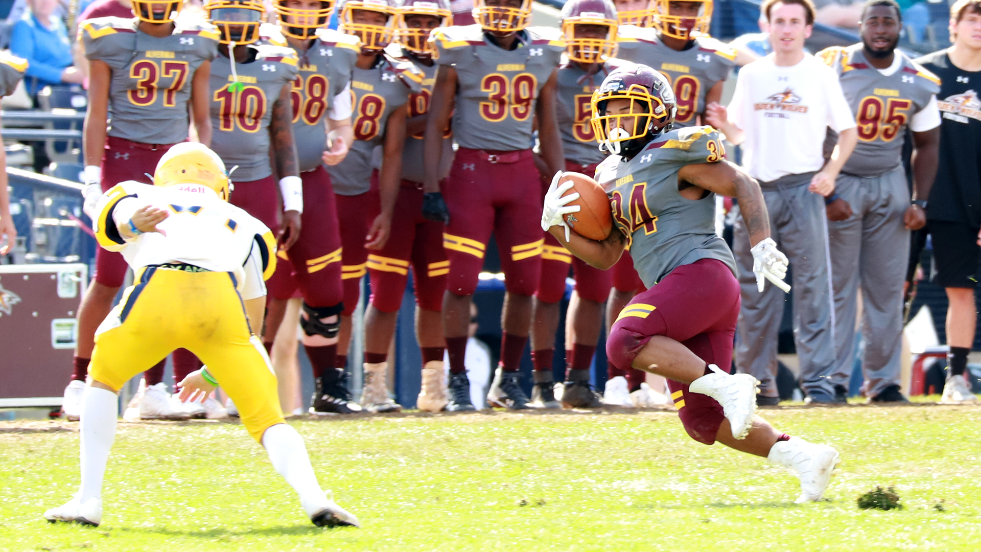 Daniel Scott - Football - Alvernia University Athletics
