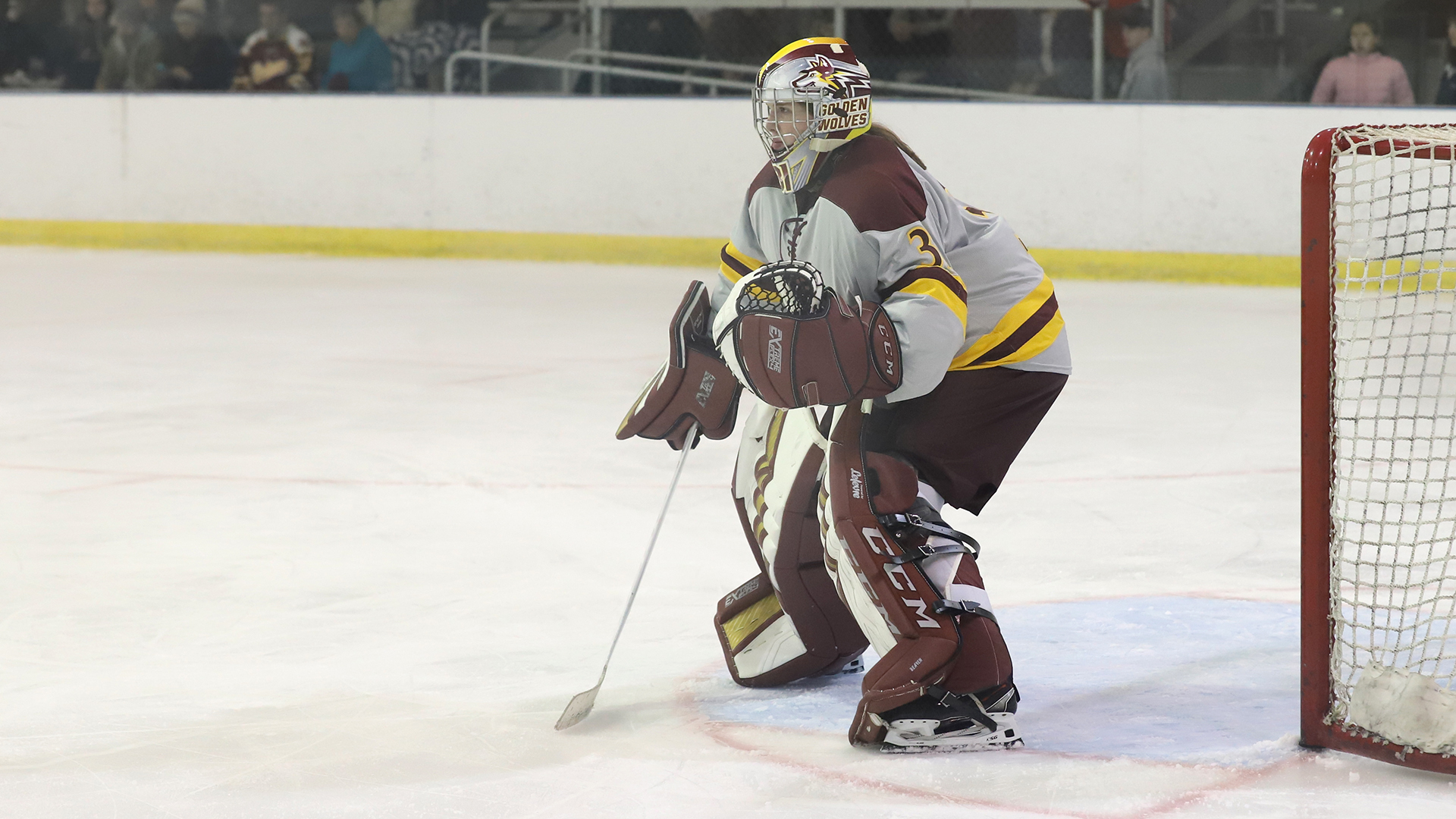 Julia Beaven - Women's Ice Hockey - Alvernia University Athletics
