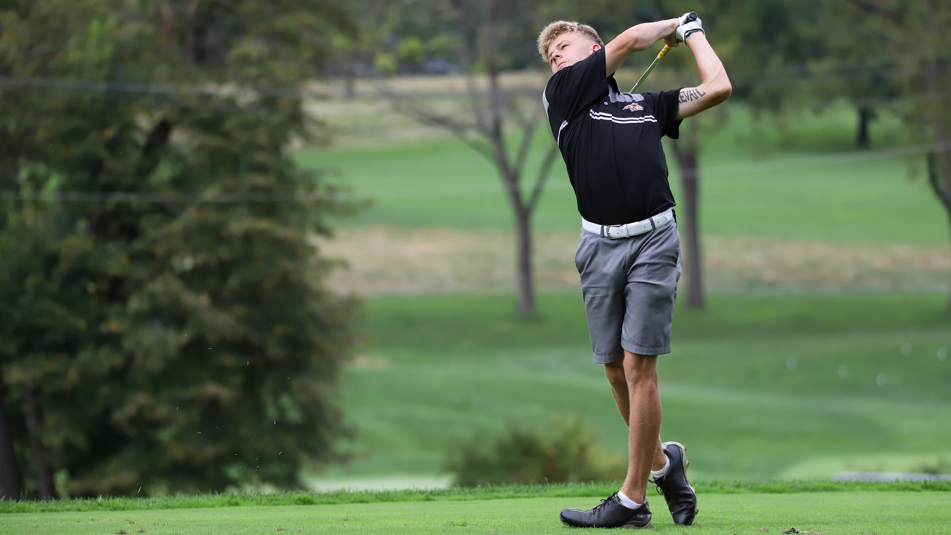 Jack Lynam - Men's Golf - Alvernia University Athletics