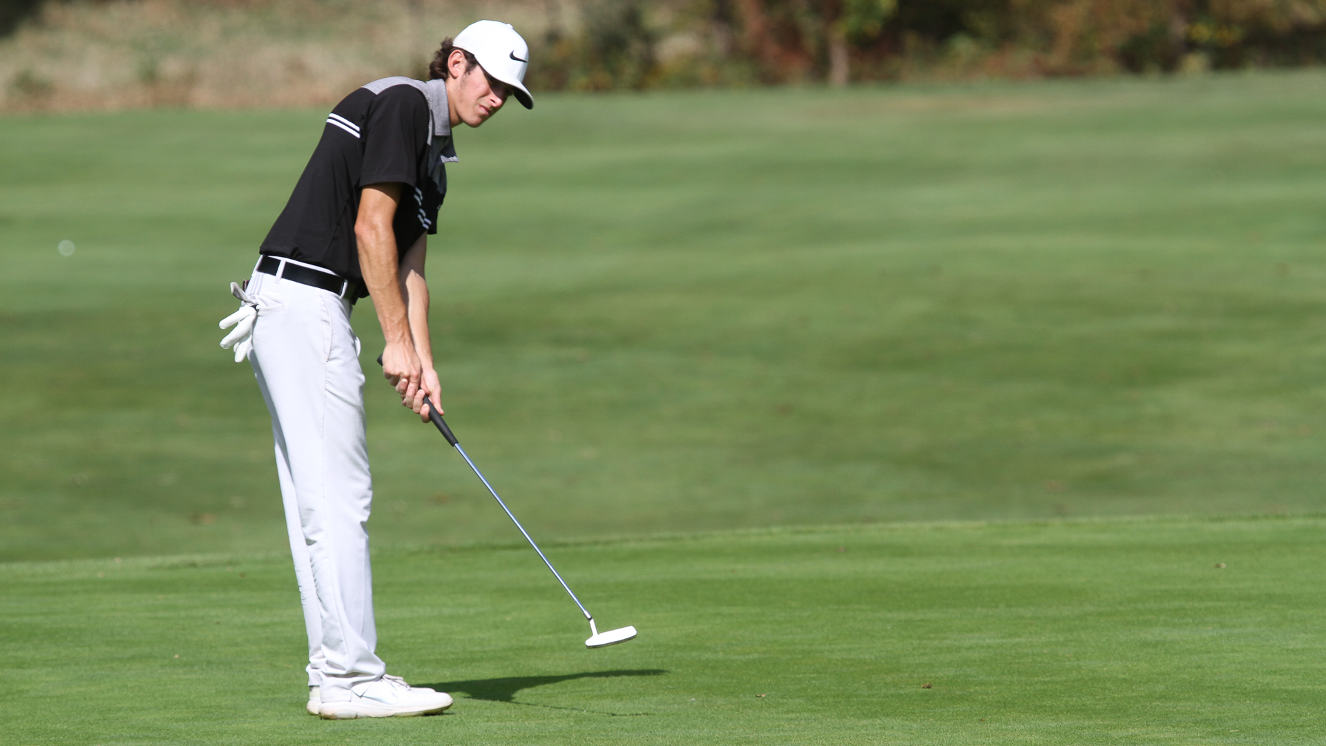 Joe Polidoro - Men's Golf - Alvernia University Athletics