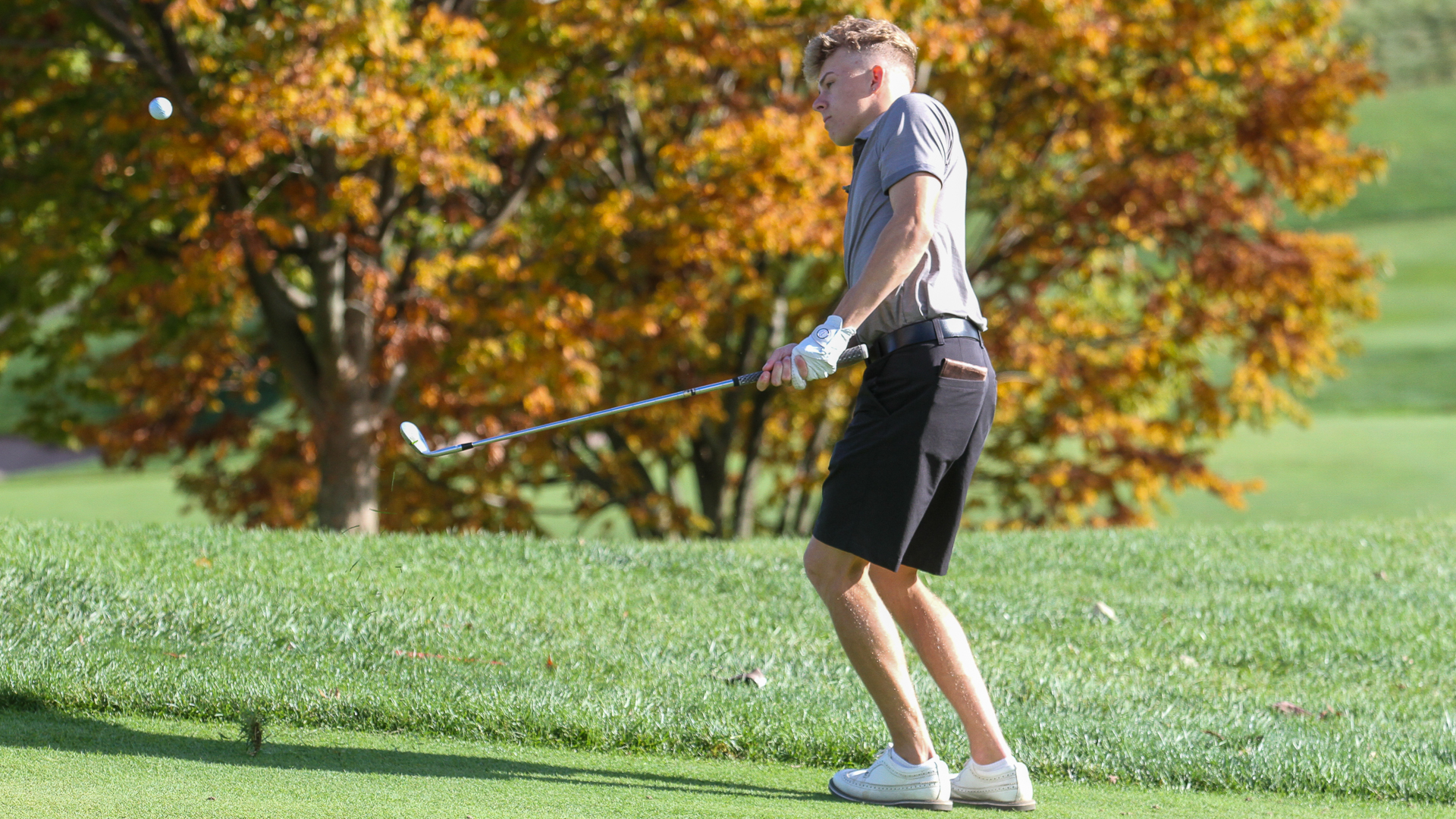 Jack Lynam - Men's Golf - Alvernia University Athletics