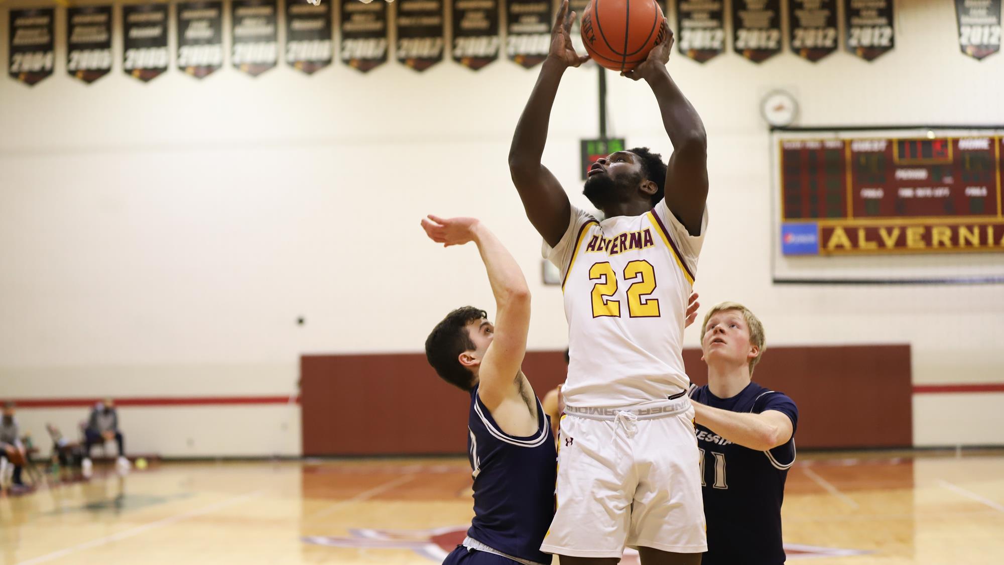 Captains Cruise Past Golden Wolves, 101-65 - Alvernia University Athletics