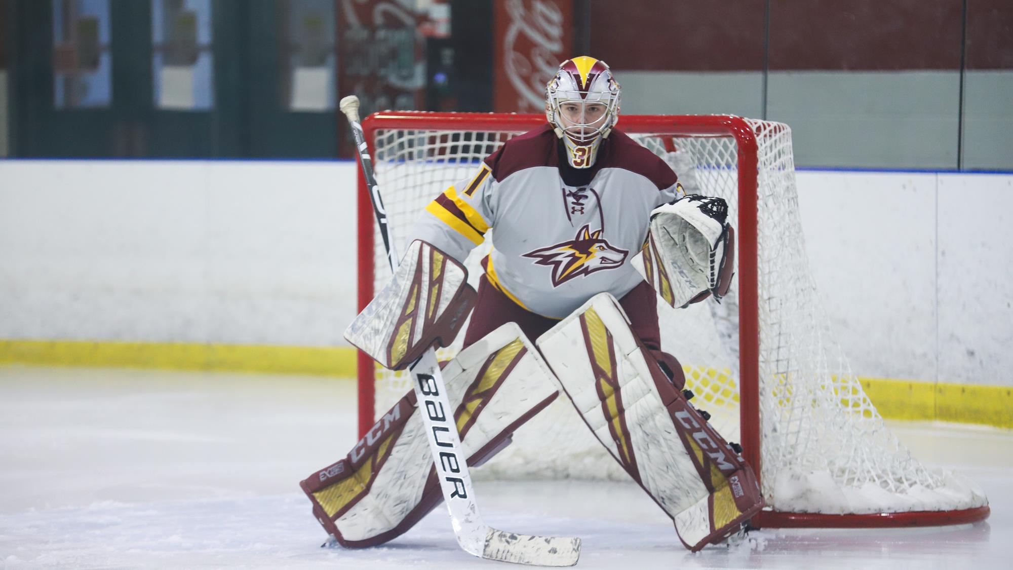 Julia Beaven - Women's Ice Hockey - Alvernia University Athletics