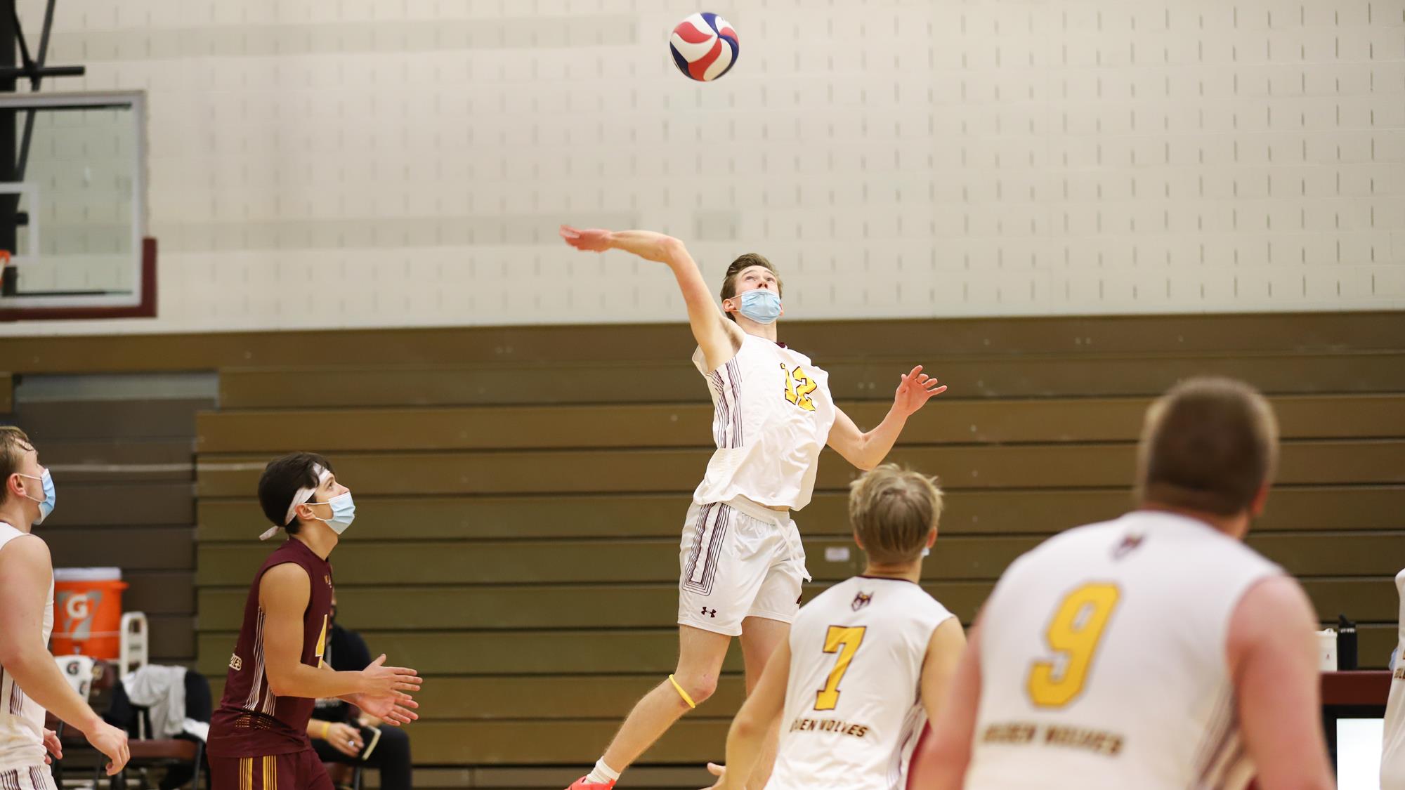 Caleb Whitehead - Men's Volleyball - Alvernia University Athletics