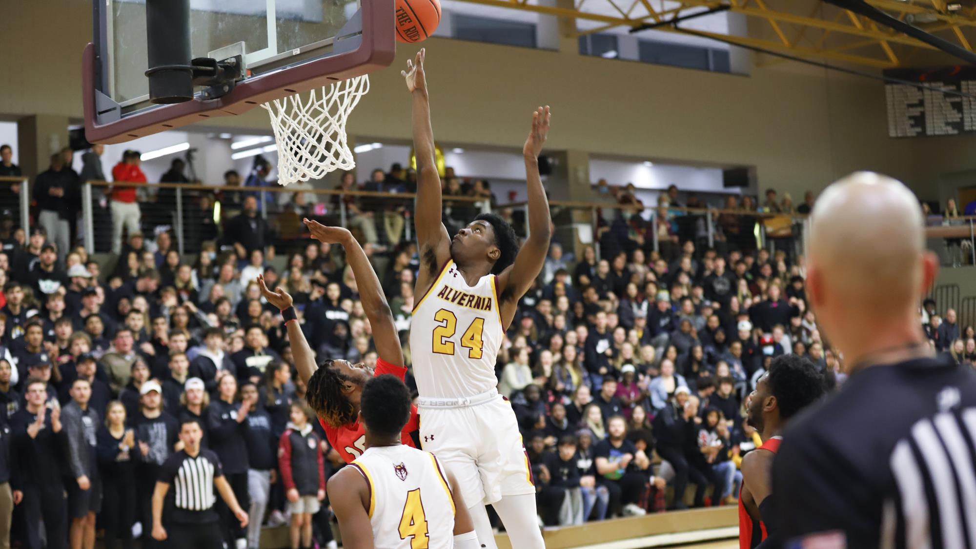 Golden Wolves Run Past Lions, 96-74 - Alvernia University Athletics