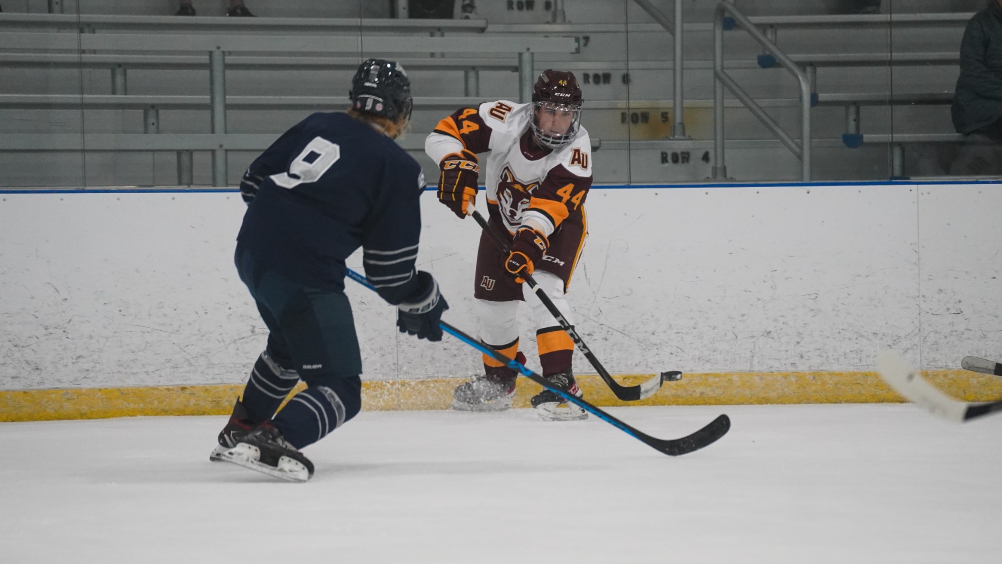 Andrew Bechard - Men's Ice Hockey - Alvernia University Athletics
