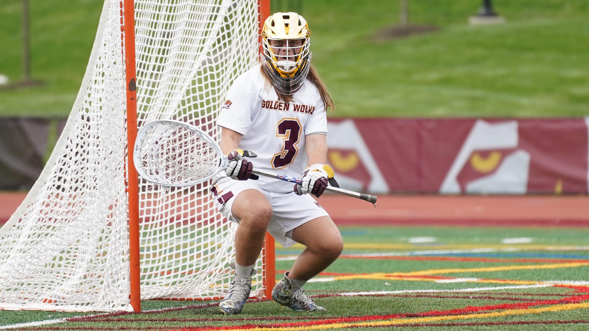 Eagles Run Past Golden Wolves, 19-0 - Alvernia University Athletics
