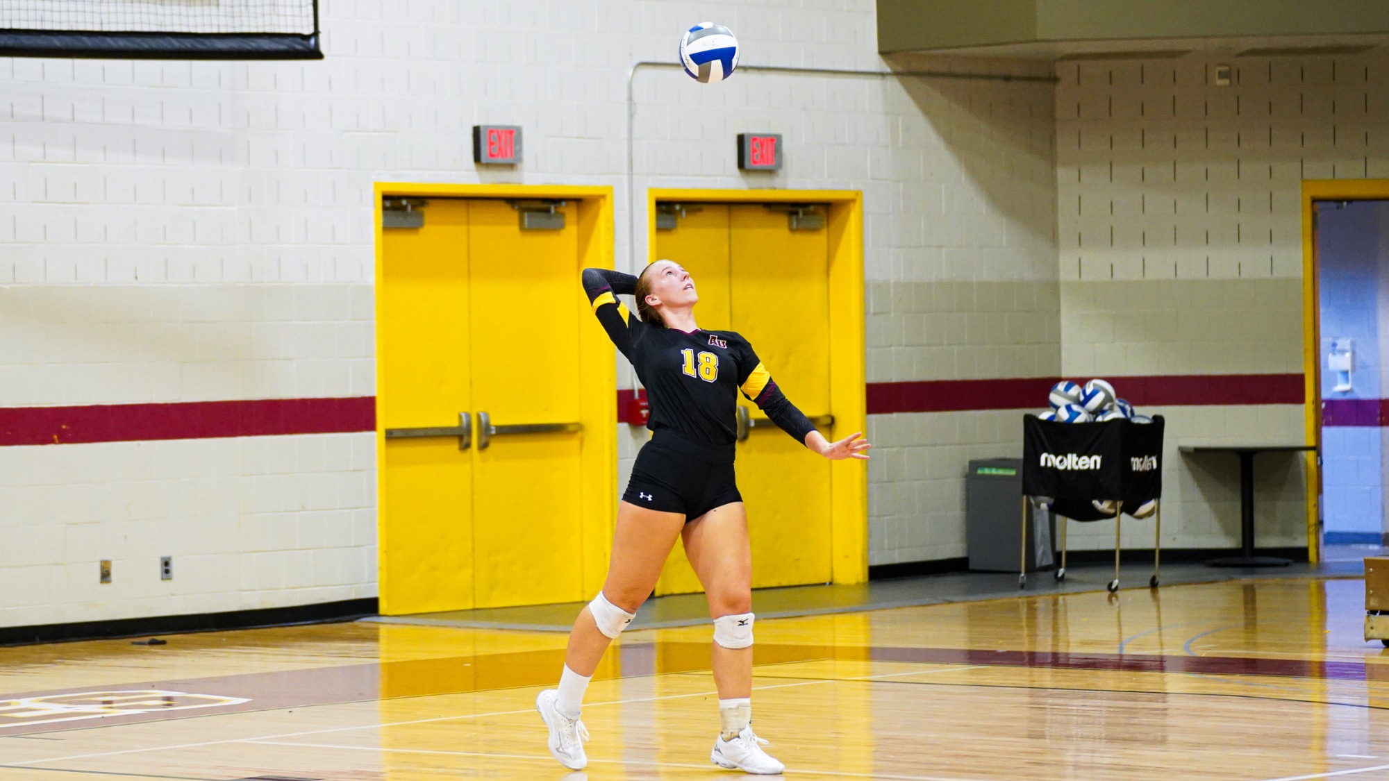 Rachel Sipling - Women's Volleyball - Alvernia University Athletics