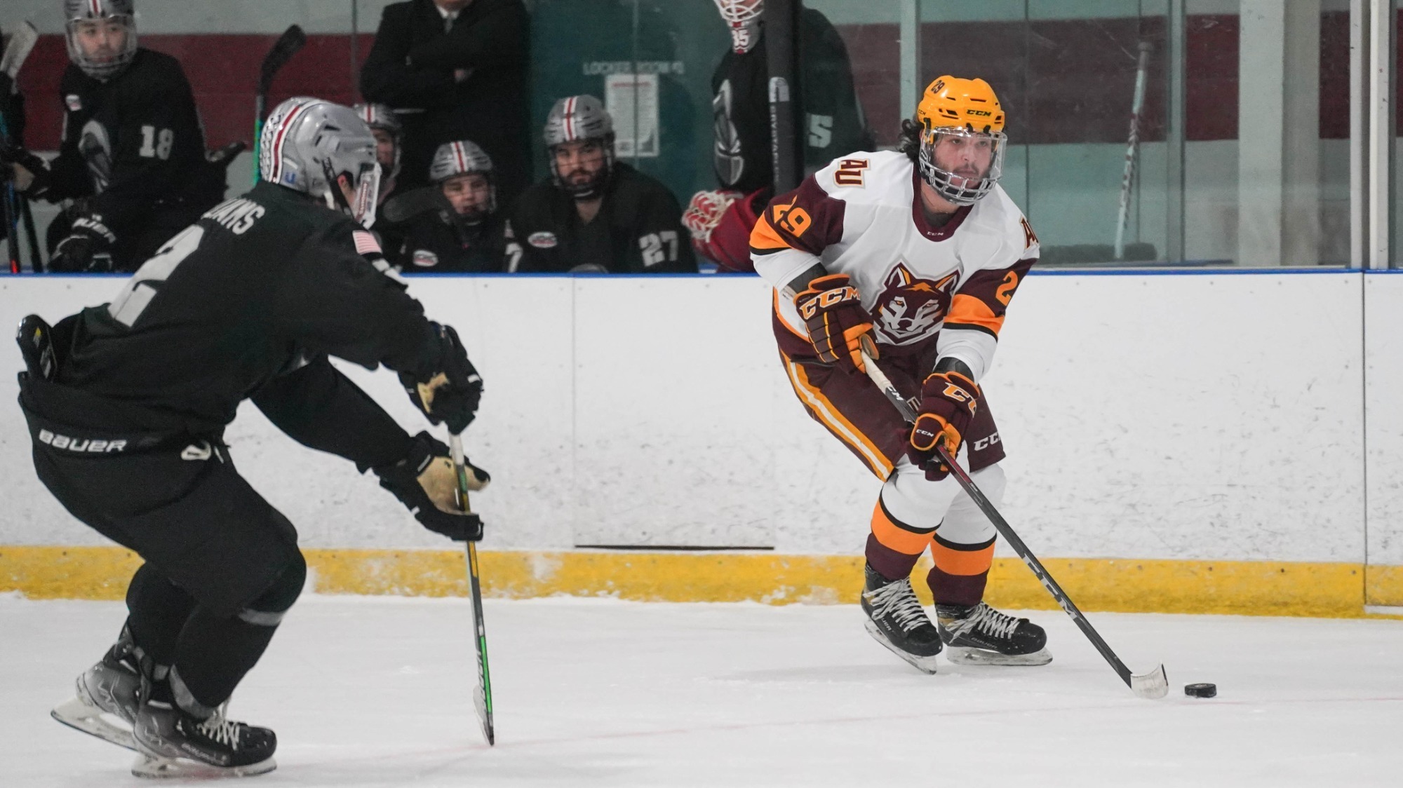 Isaac Chapman - Men's Ice Hockey - Alvernia University Athletics