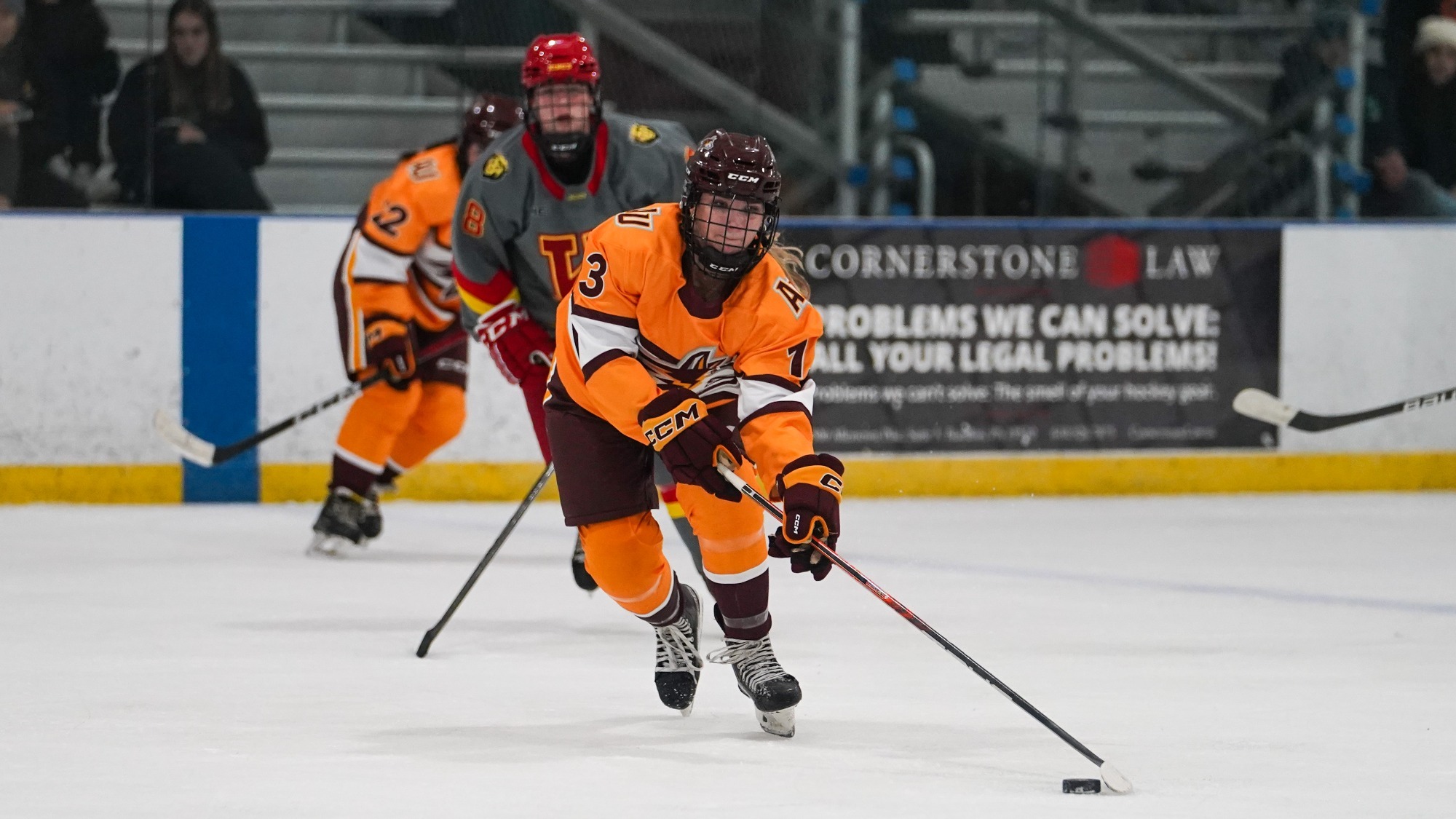 Golden Wolves Sweep Mustangs - Alvernia University Athletics