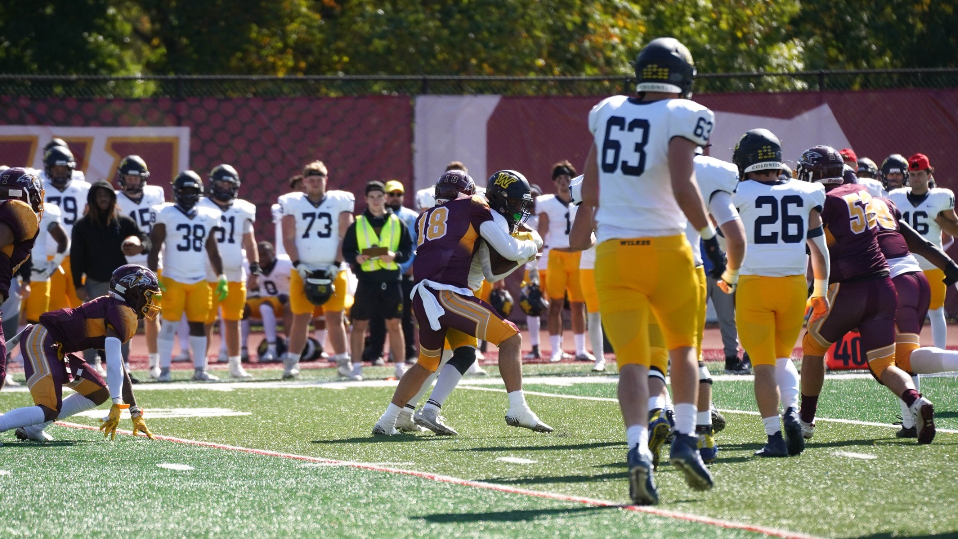 Andrew Luisa - Football - Alvernia University Athletics