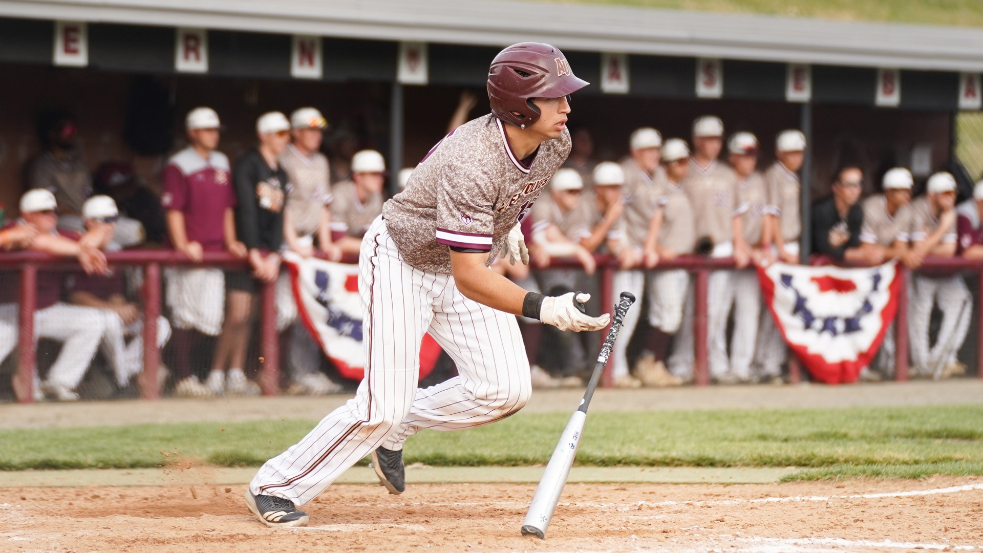Thomas Faggioni - Baseball - Alvernia University Athletics