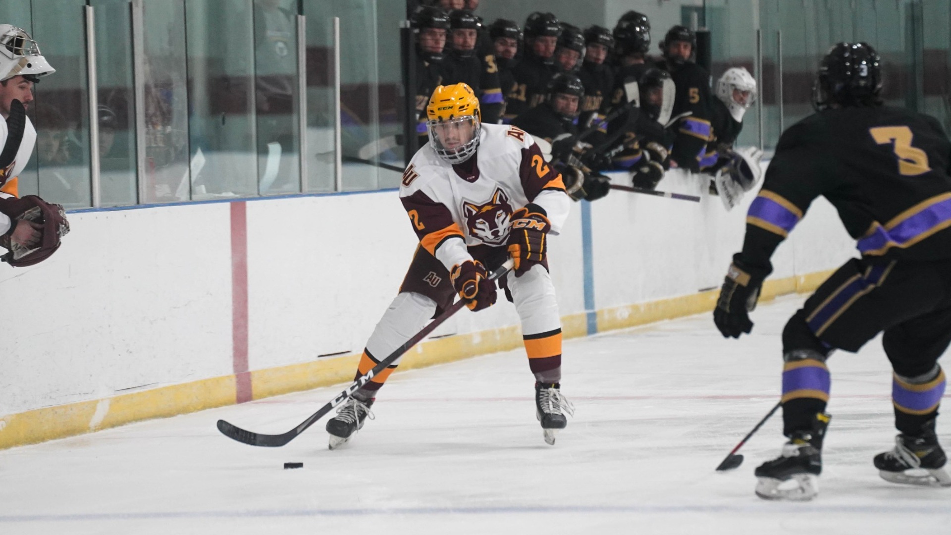 Jake Sutton - Men's Ice Hockey - Alvernia University Athletics