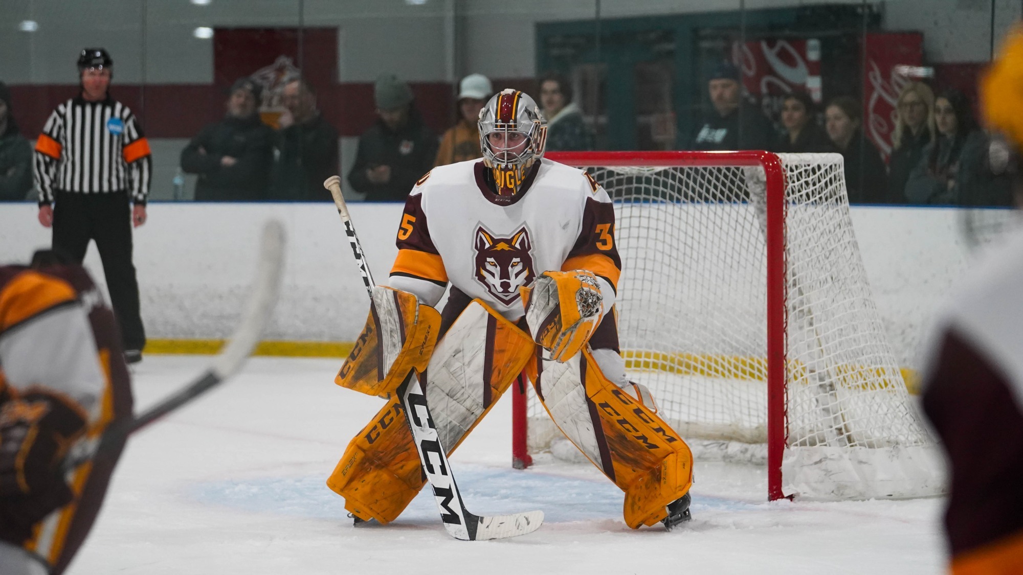 Brandon Daigle - Men's Ice Hockey - Alvernia University Athletics