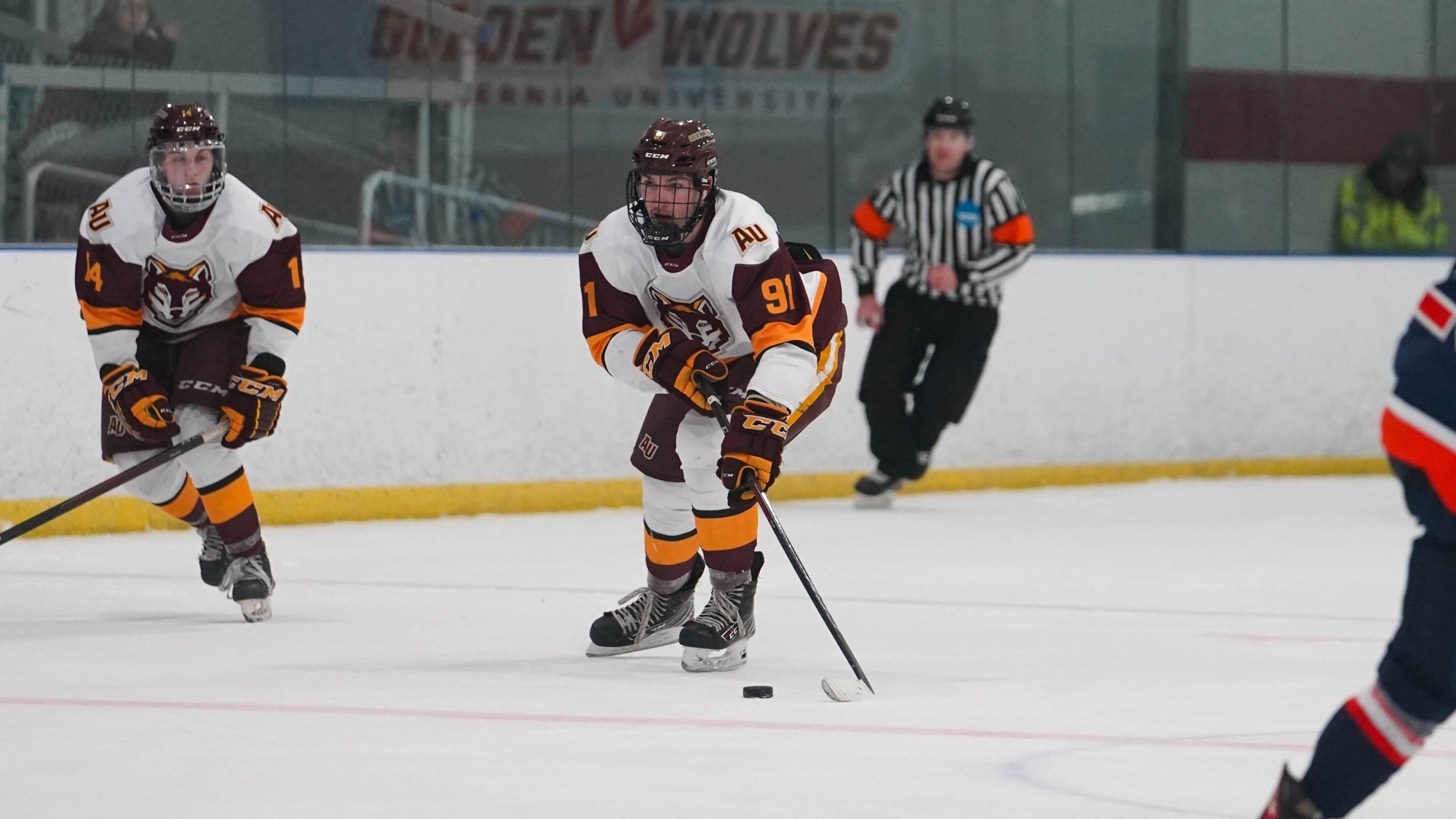Rylan Gudnason - Men's Ice Hockey - Alvernia University Athletics