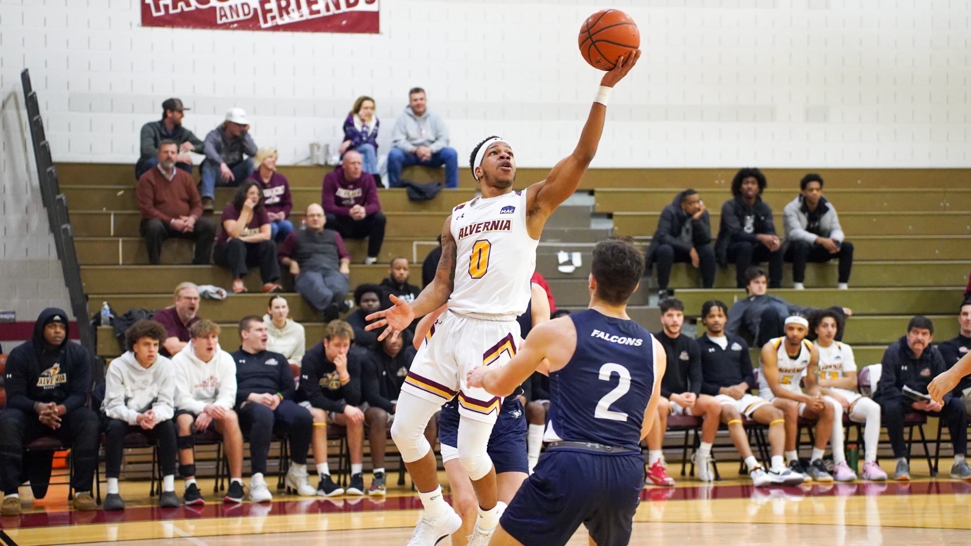 Golden Wolves Survive Late Push, Take Down Falcons, 79-69 - Alvernia ...