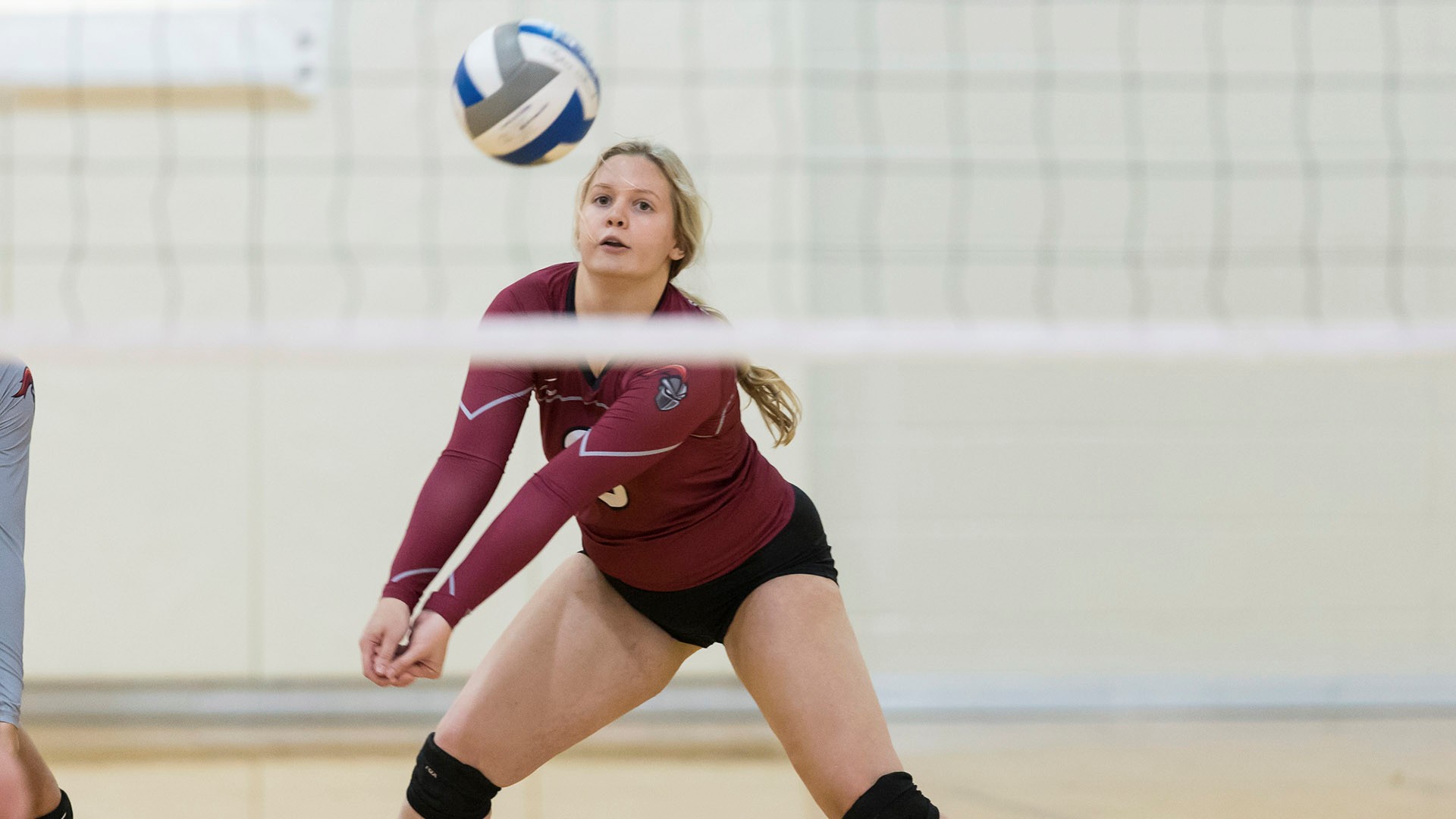 Sam Dulak - Women's Volleyball - Arcadia University Athletics