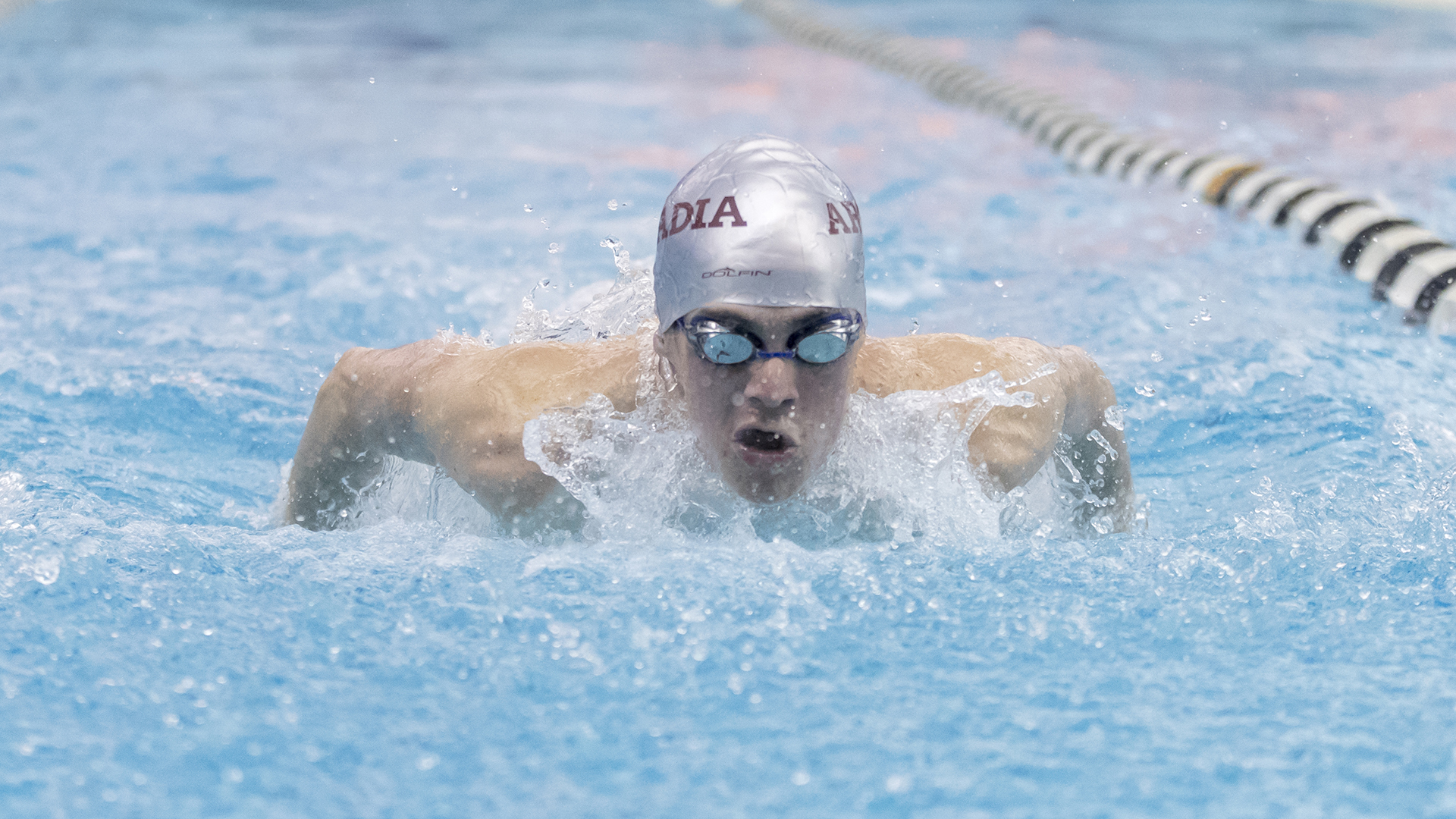 TJ Dalton - Men's Swimming - Arcadia University Athletics