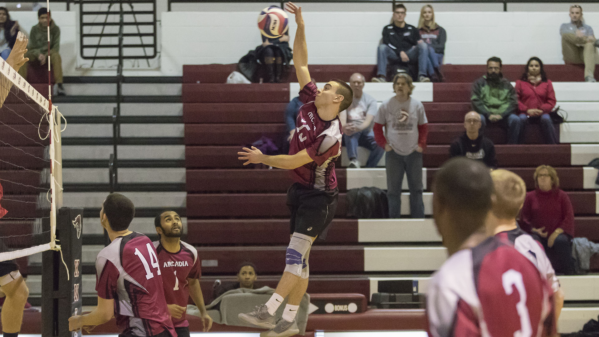 Bryce Galloway - Men's Volleyball - Arcadia University Athletics