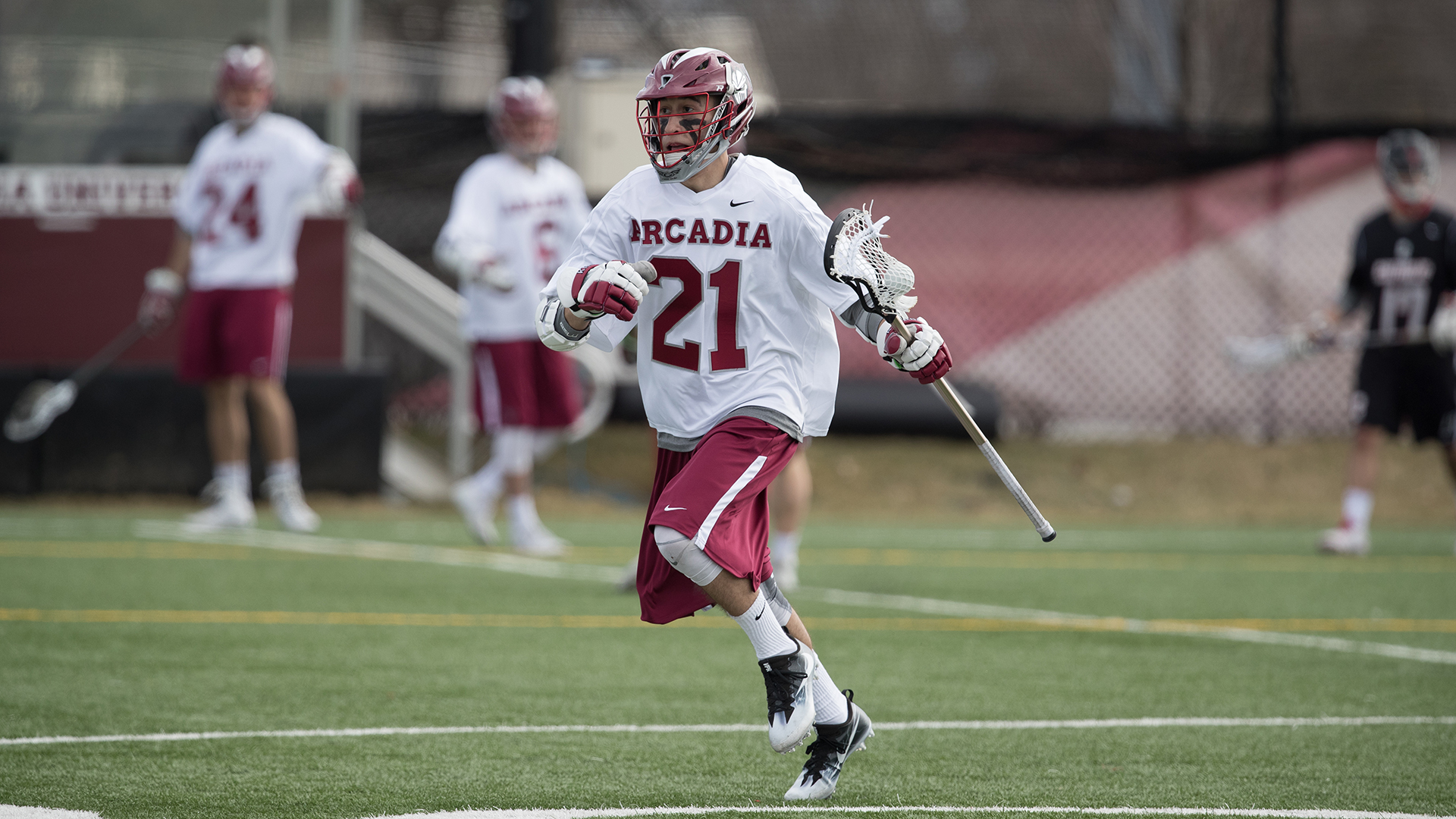 Nick Ferraro - Men's Lacrosse - Arcadia University Athletics