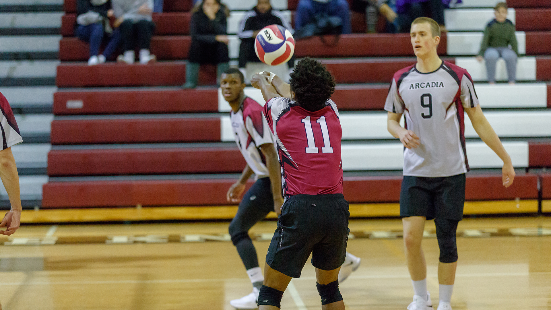 Aaron Knotts - Men's Volleyball - Arcadia University Athletics