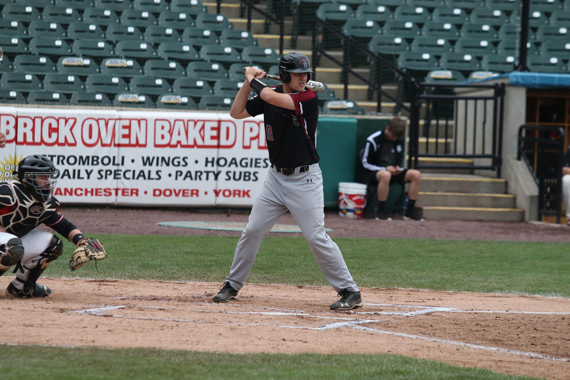 Phil Pierfy - Baseball - Arcadia University Athletics