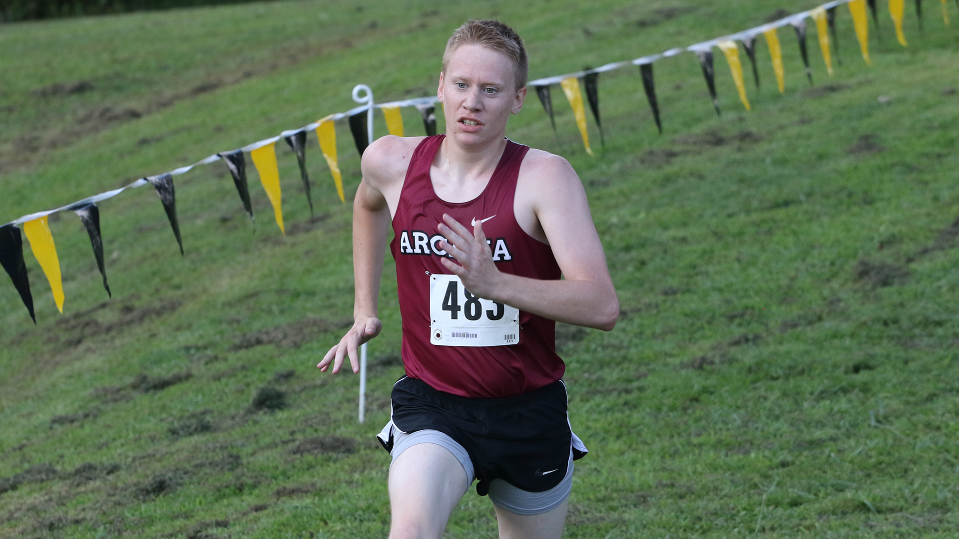 Ben Behm - Men's Cross Country - Arcadia University Athletics