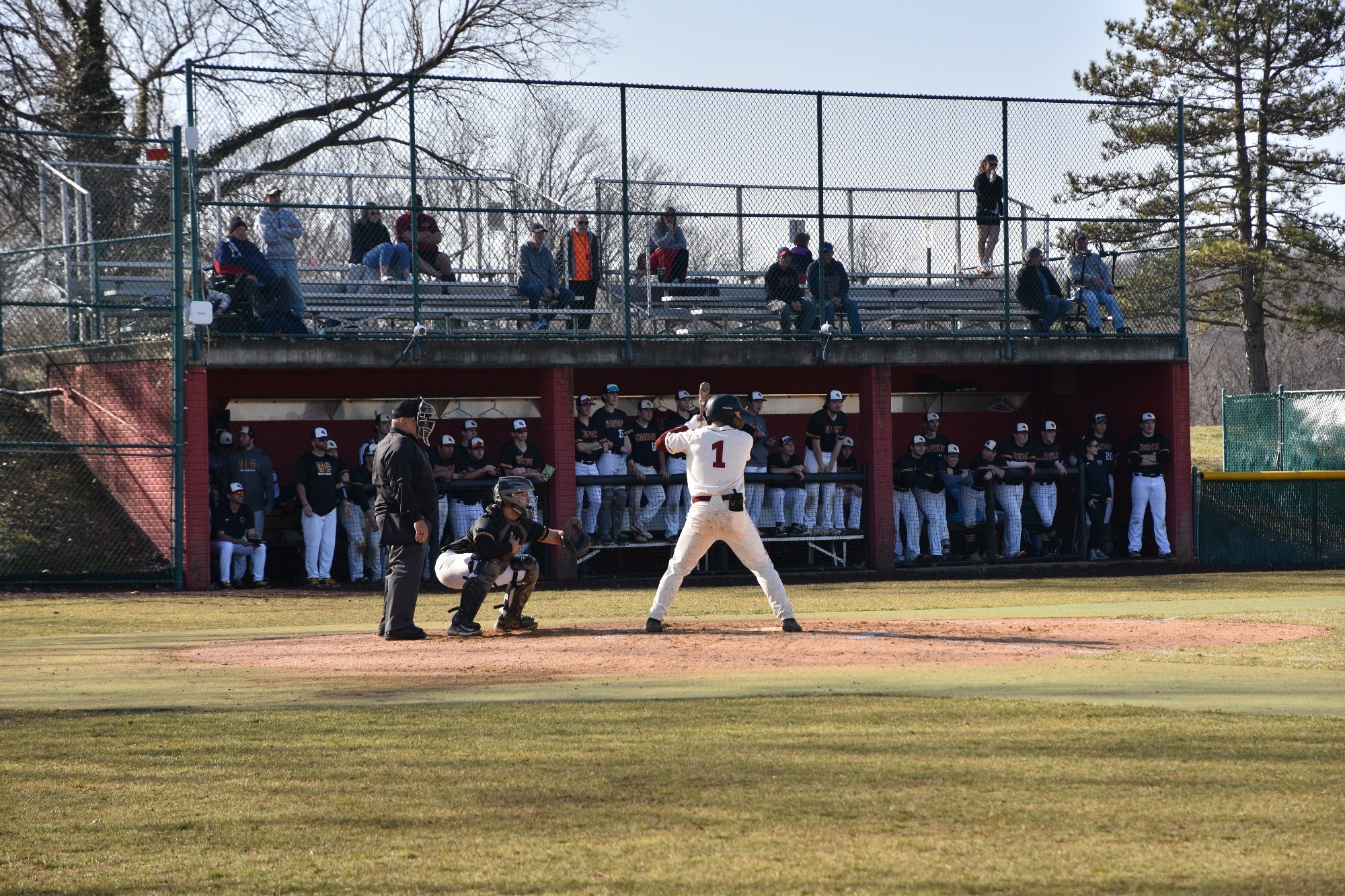 Matt Donchez - Baseball - Arcadia University Athletics