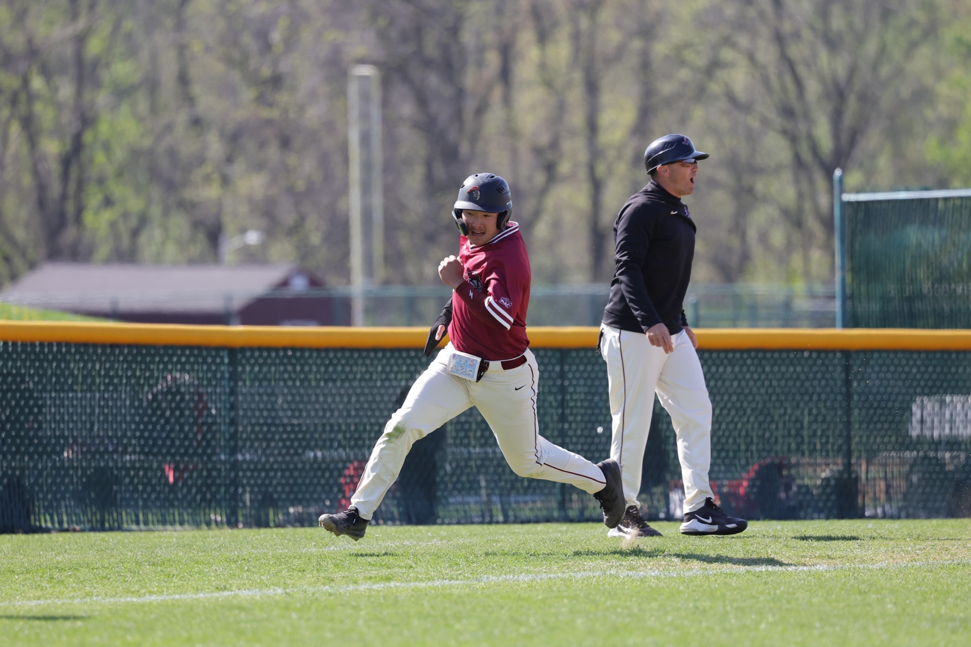 Matt Donchez - Baseball - Arcadia University Athletics