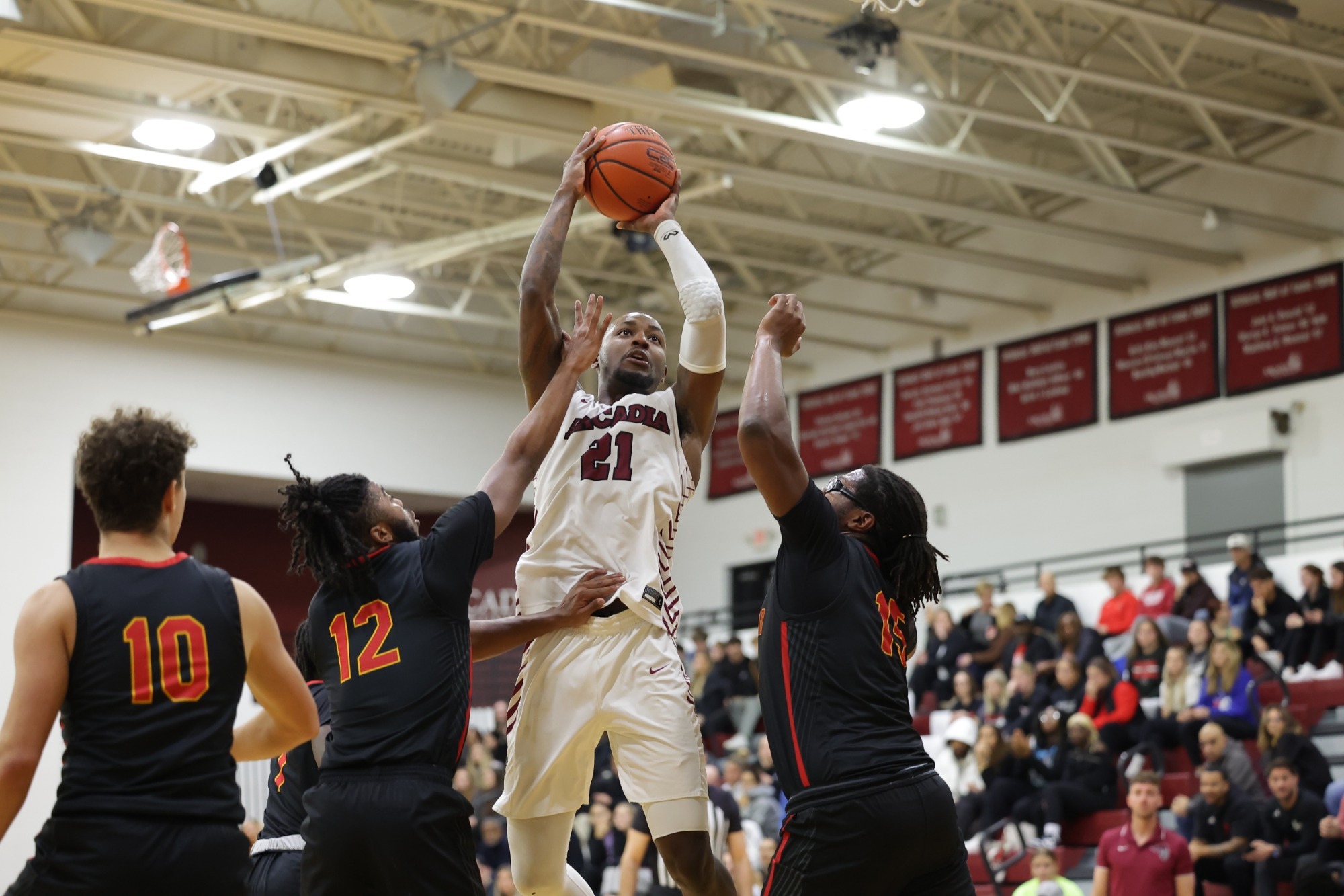 Jalen Watkins - Men's Basketball - Arcadia University Athletics