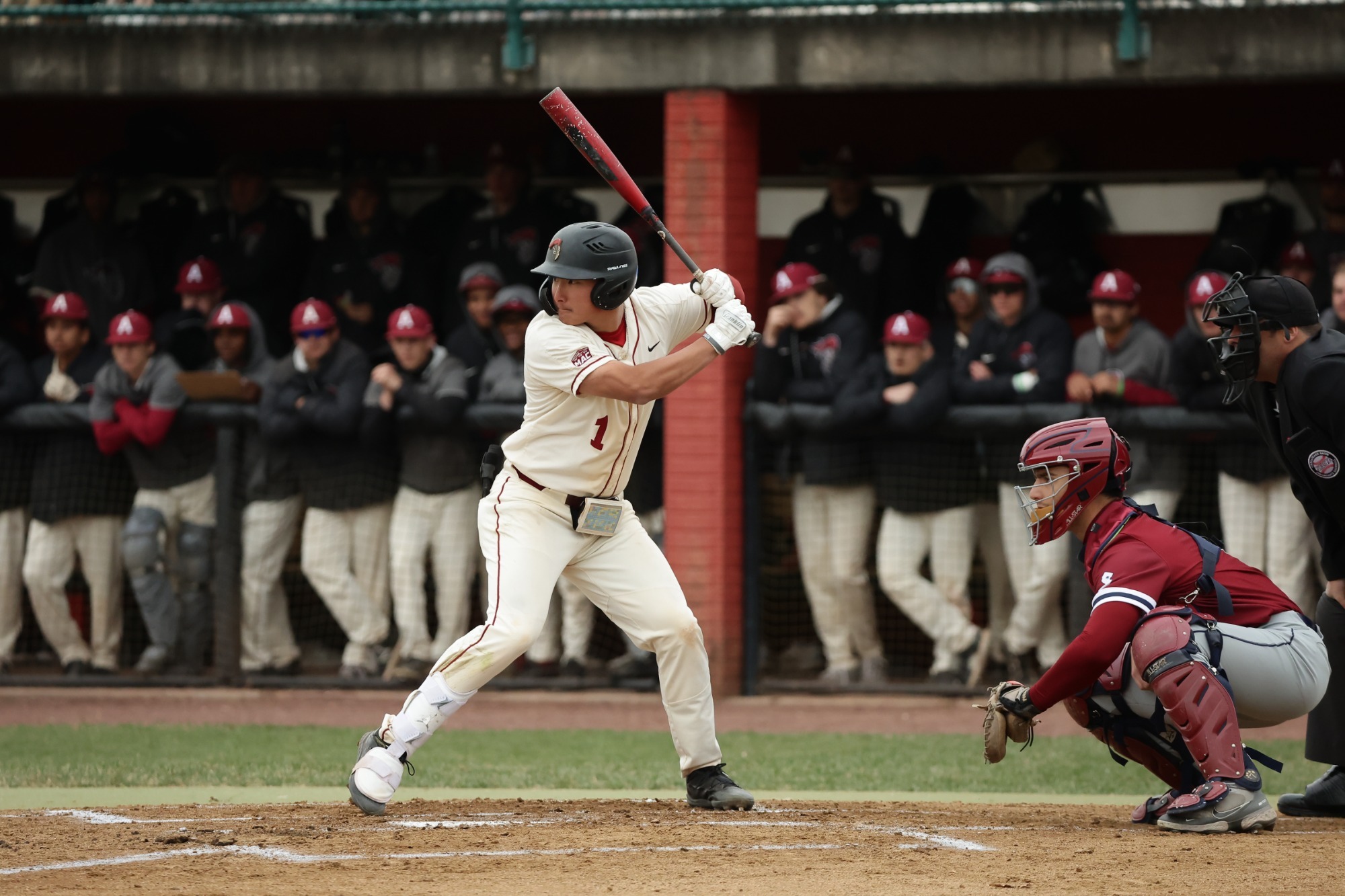 Matt Donchez - Baseball - Arcadia University Athletics